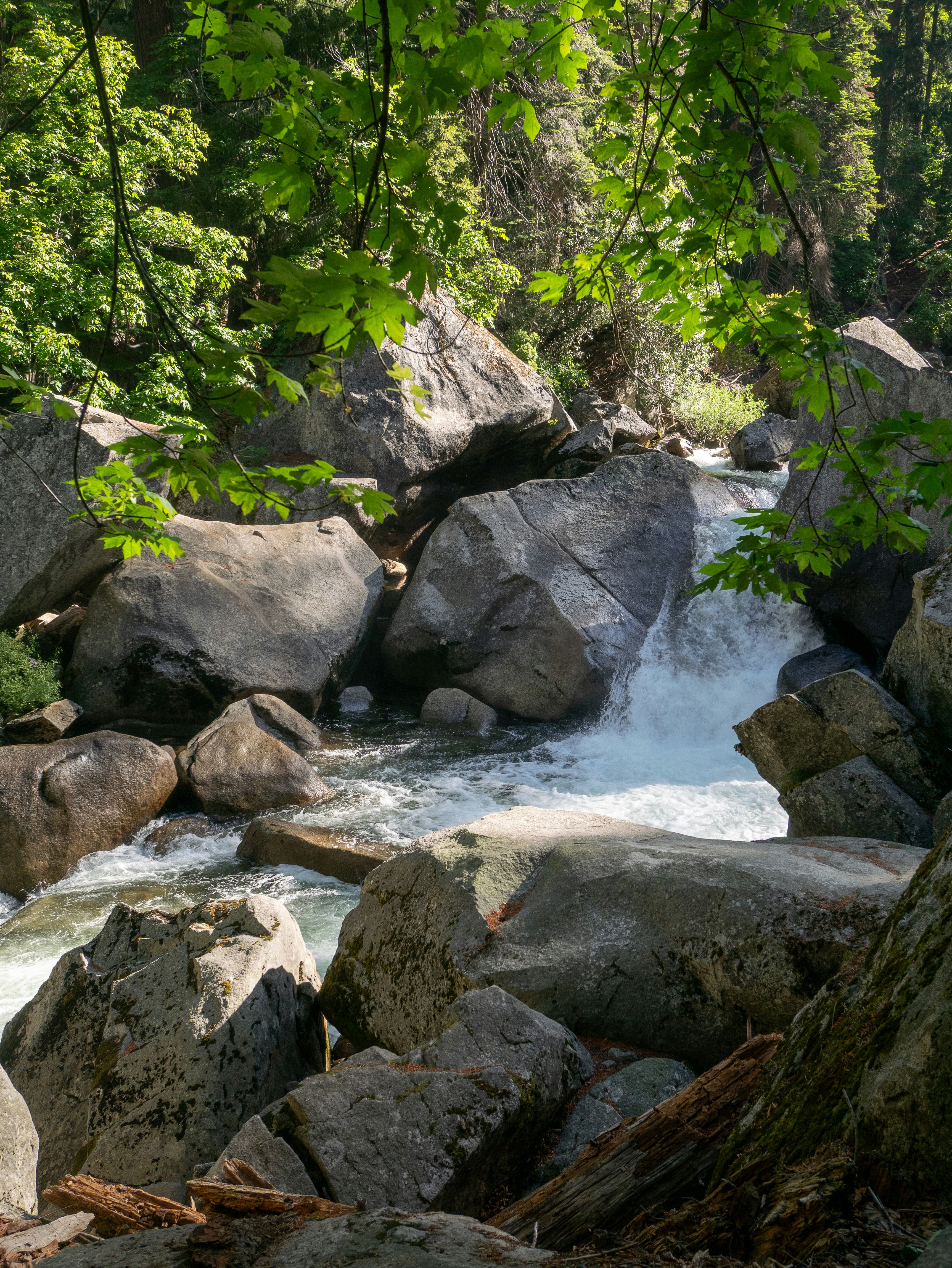 A stream flows over rocks surrounded by trees.
