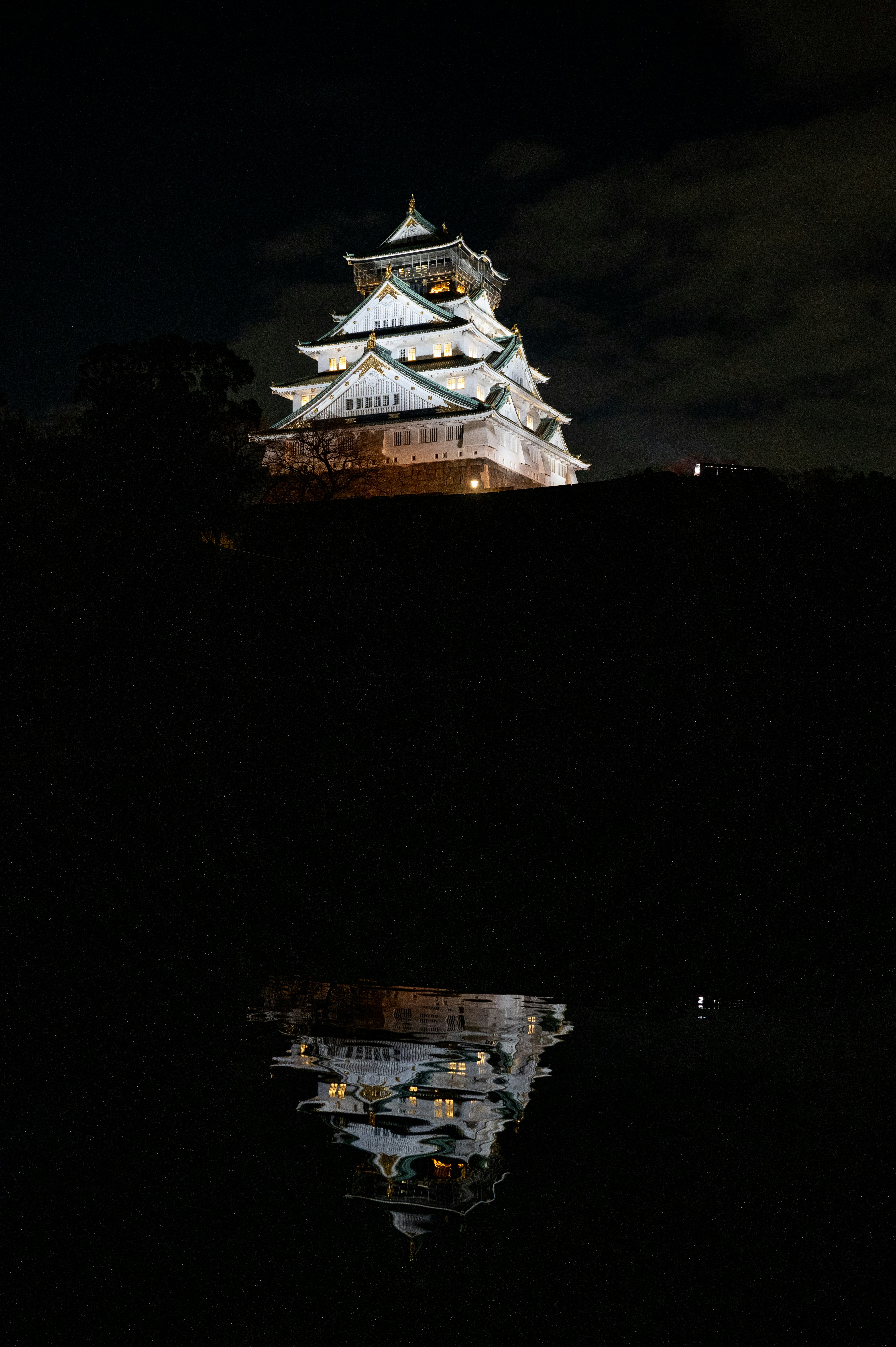 Illuminated Legacy: A Night at the Castle