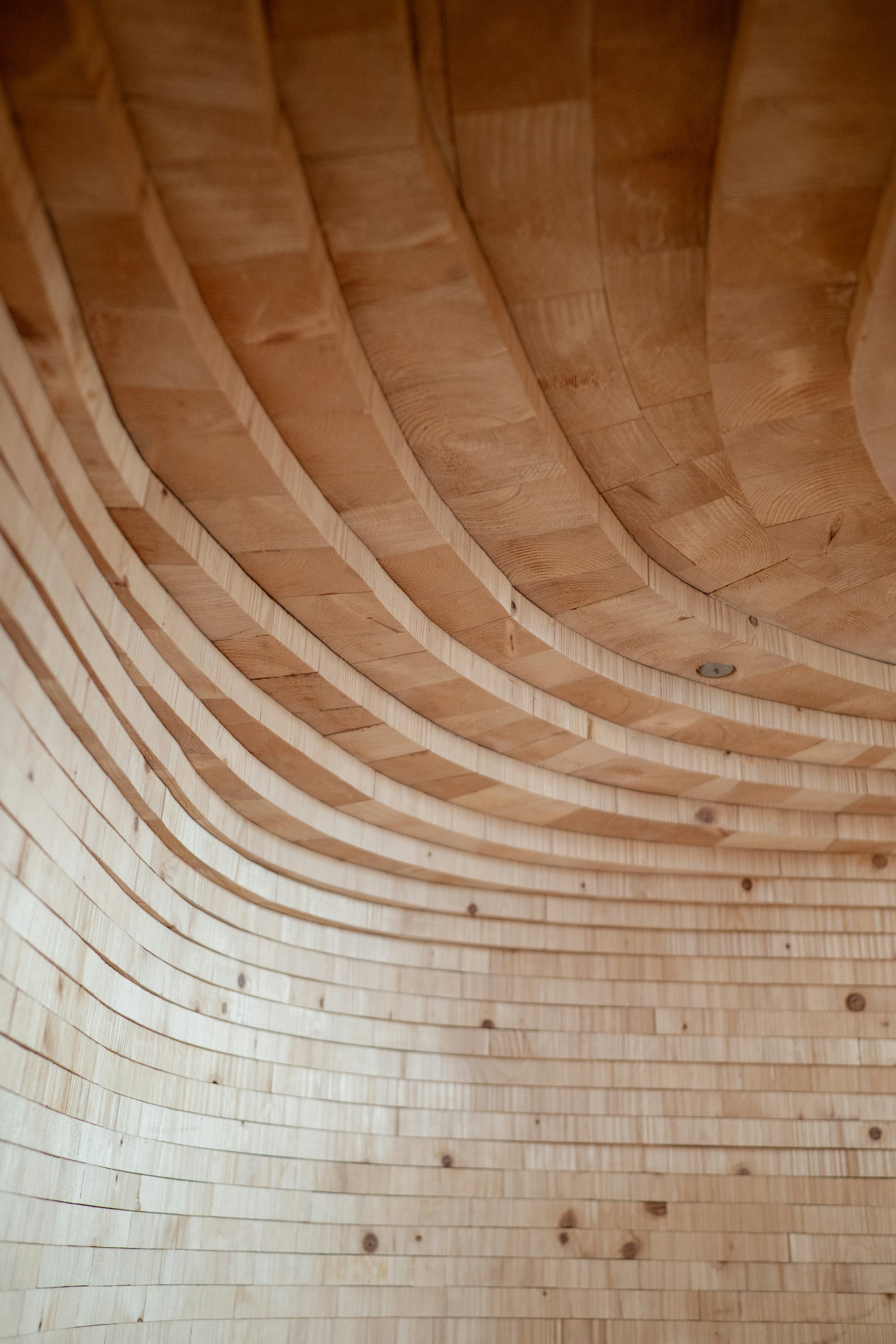 Curved Harmony: The Art of Wooden Architecture