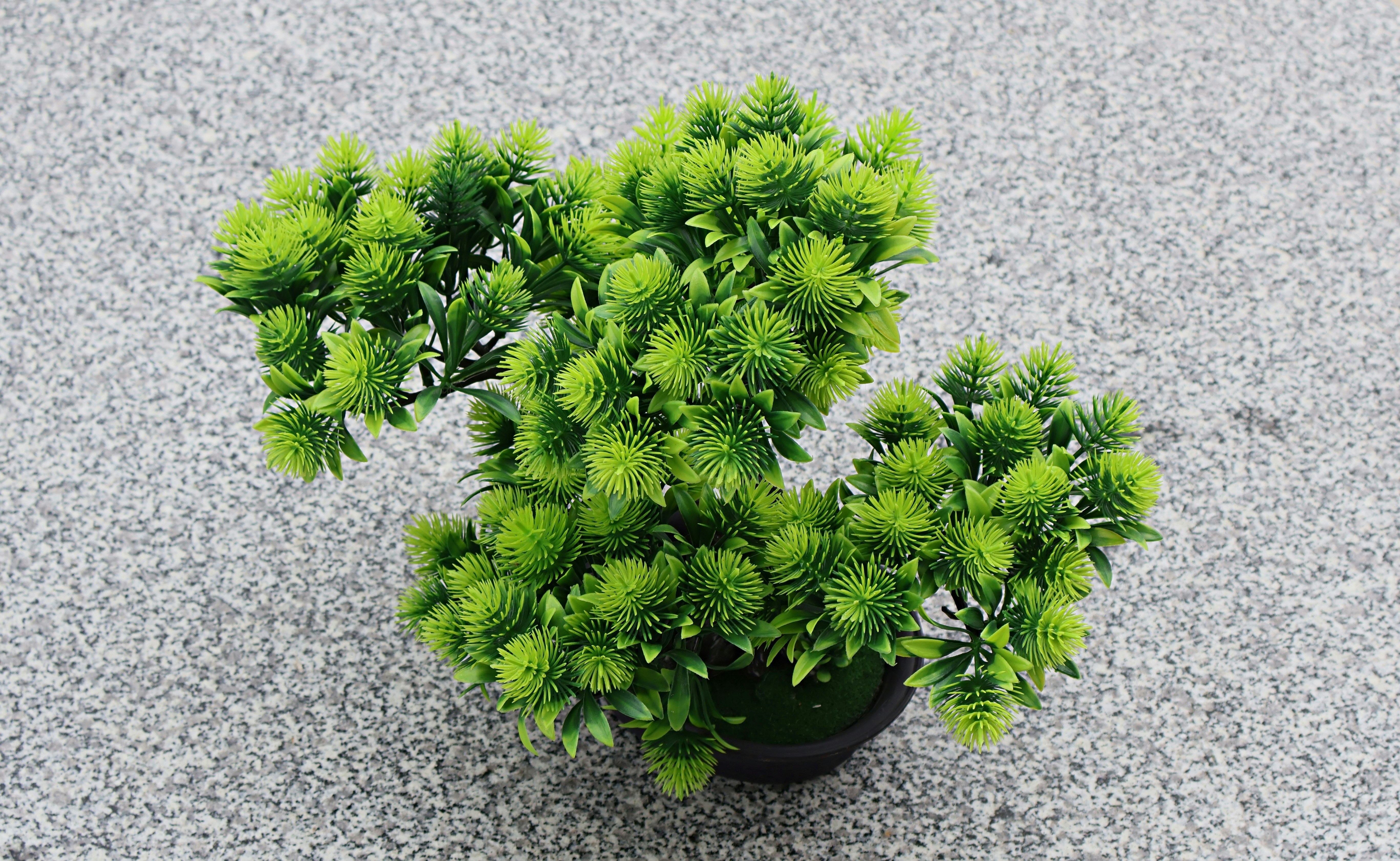 An artificial indoor plant.