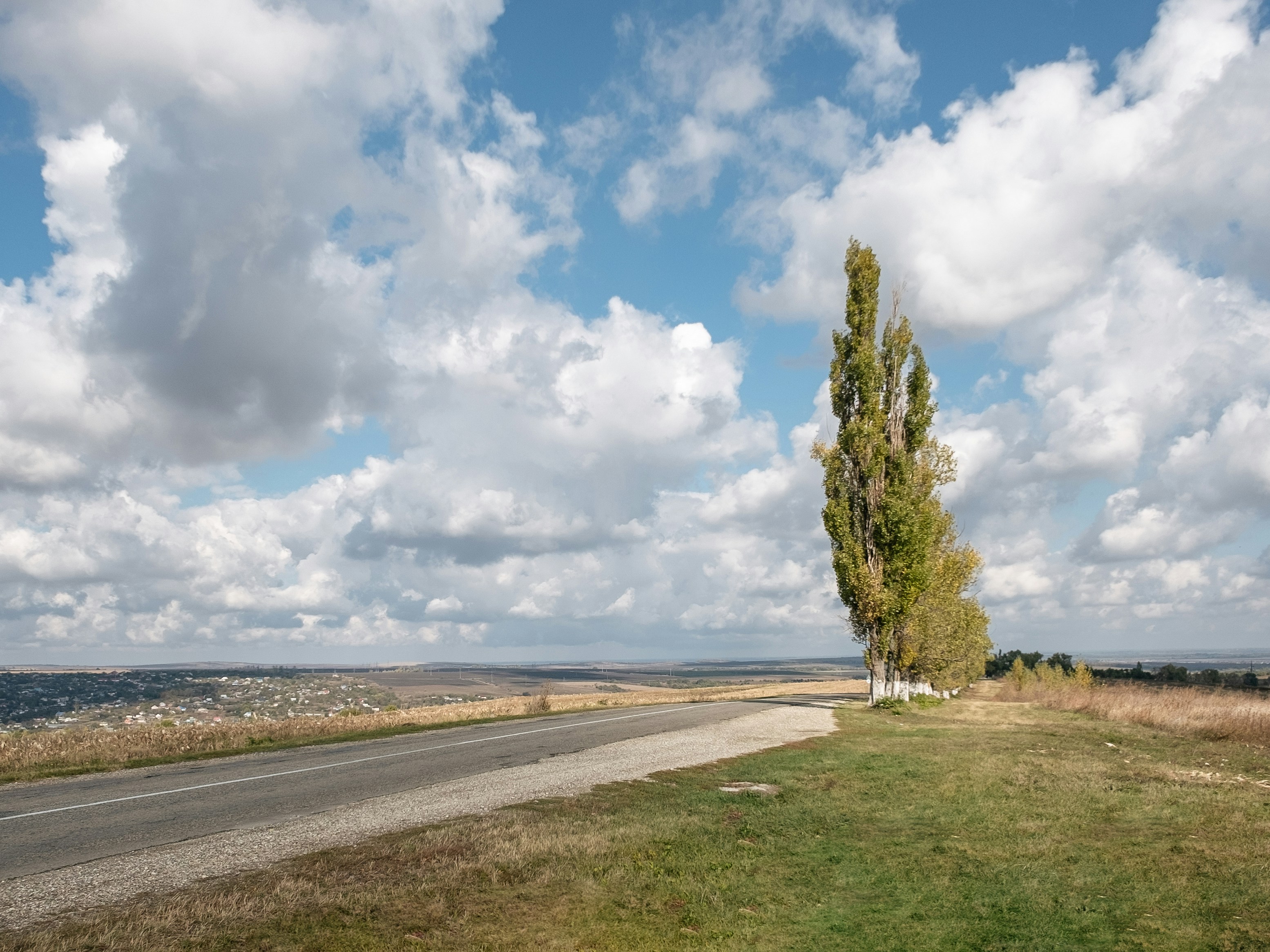 Whispers of the Open Road