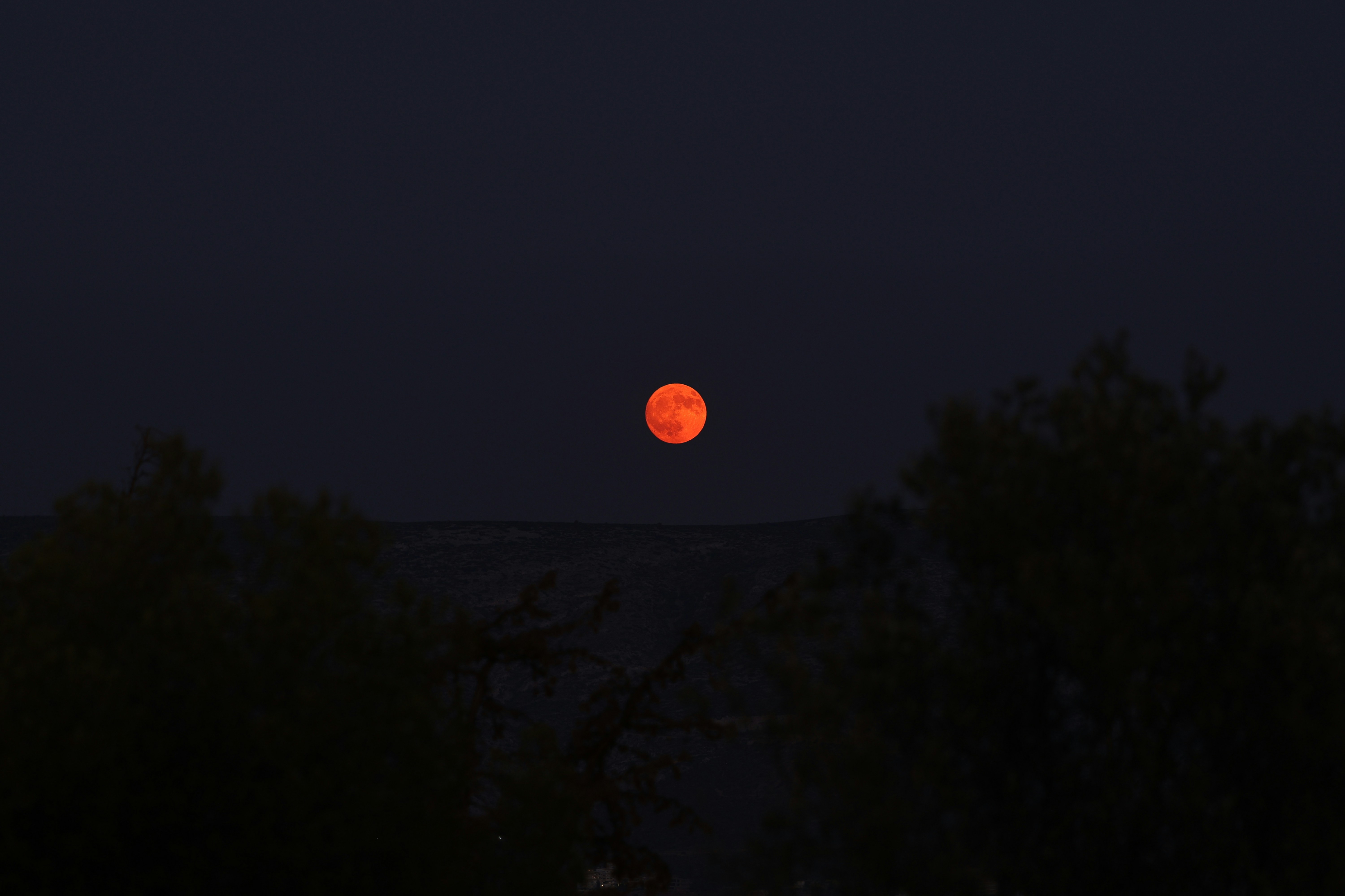 A red moon glows in the dark night sky.