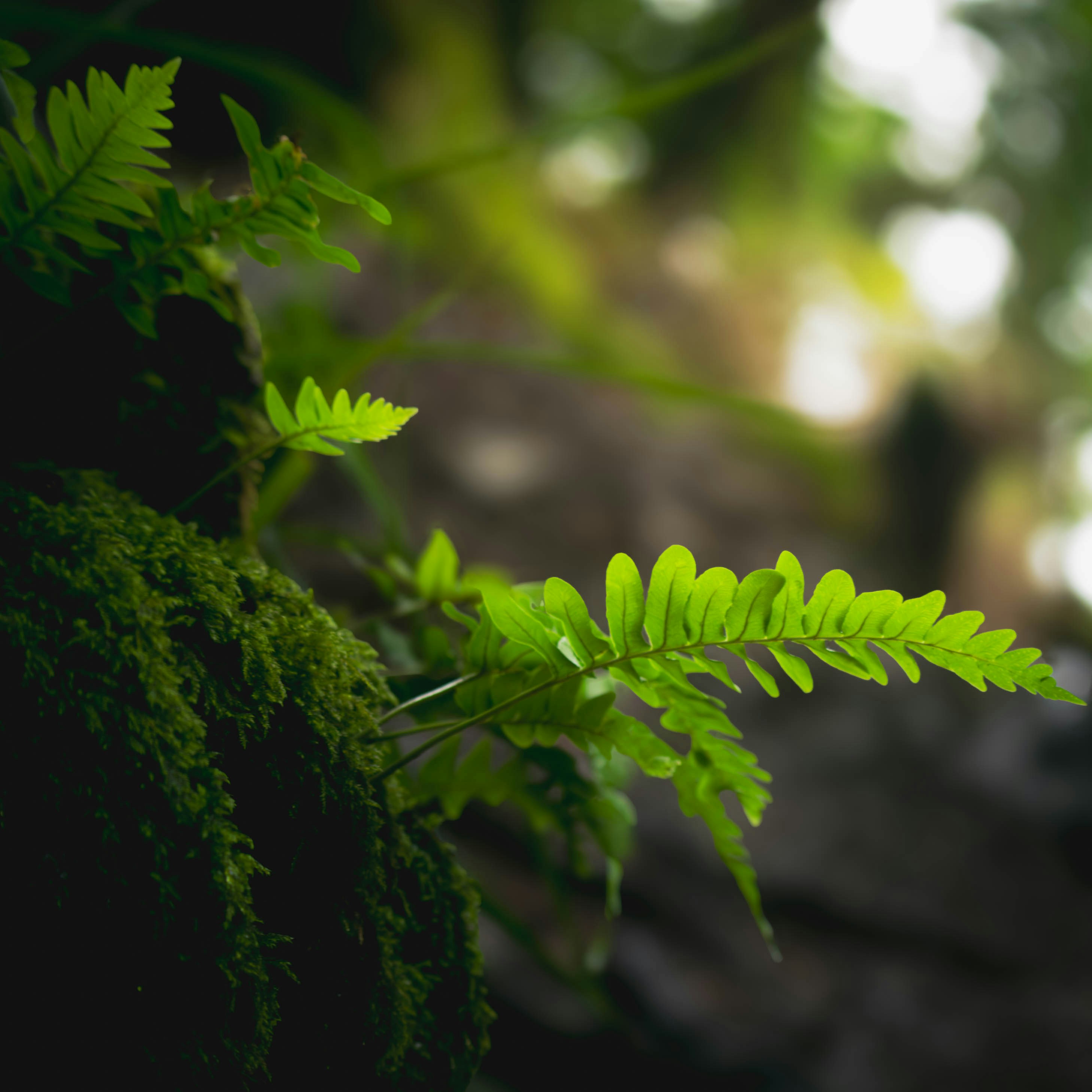 Photo by van asten maarten with Canon EOS 700D