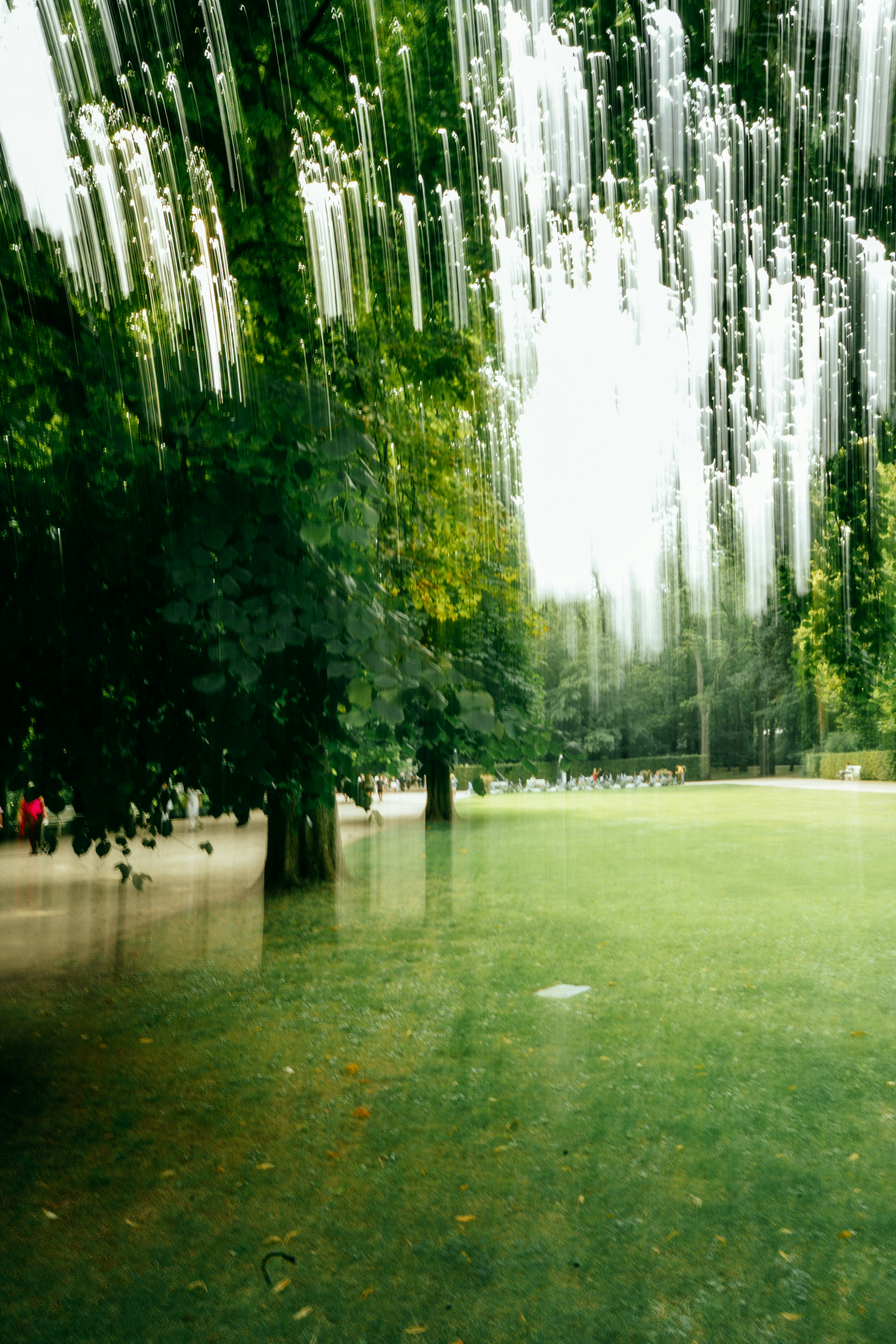 Abstract park scene with blurred trees and grass