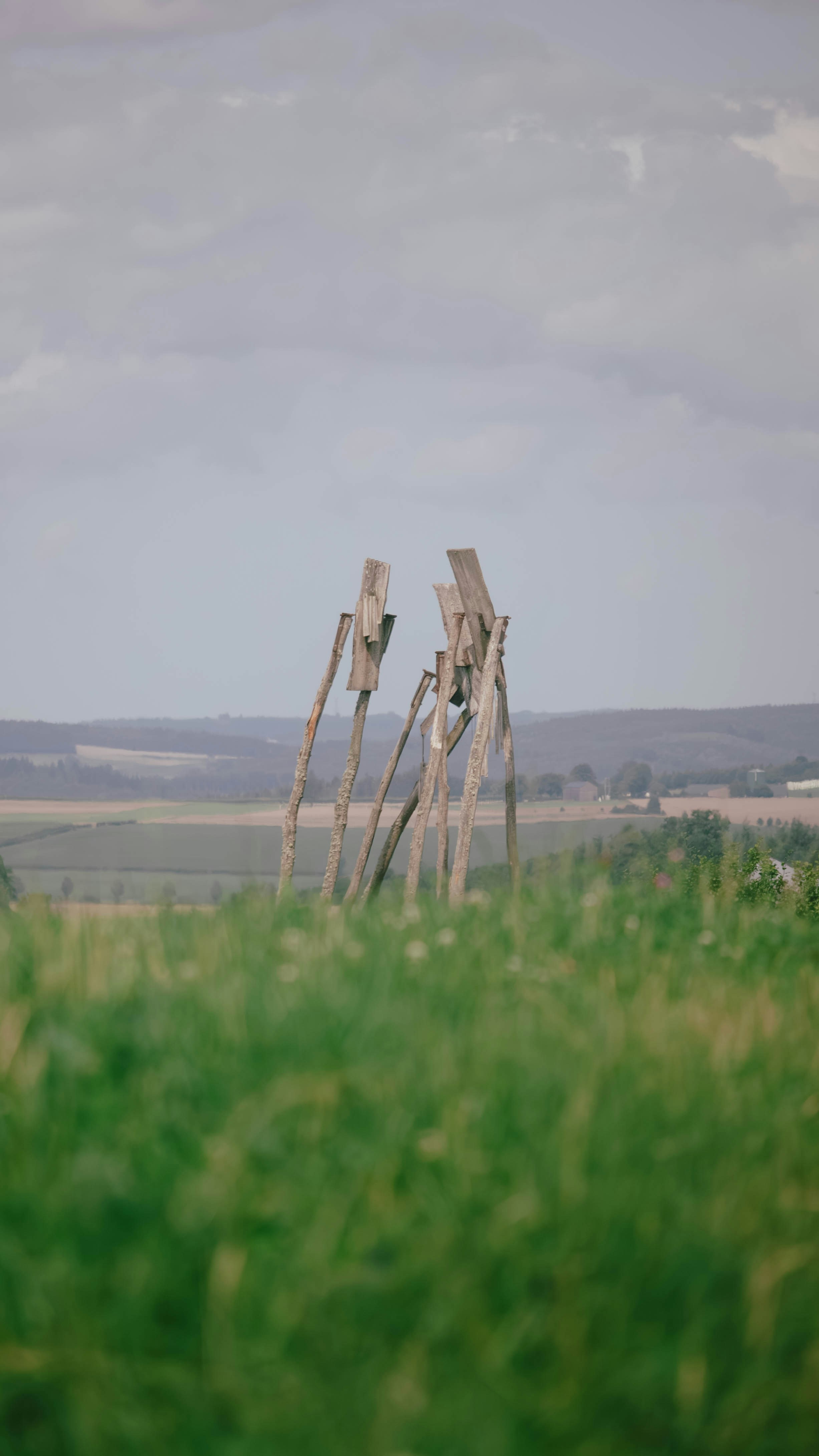 Two skeletal figures stand in a grassy field.