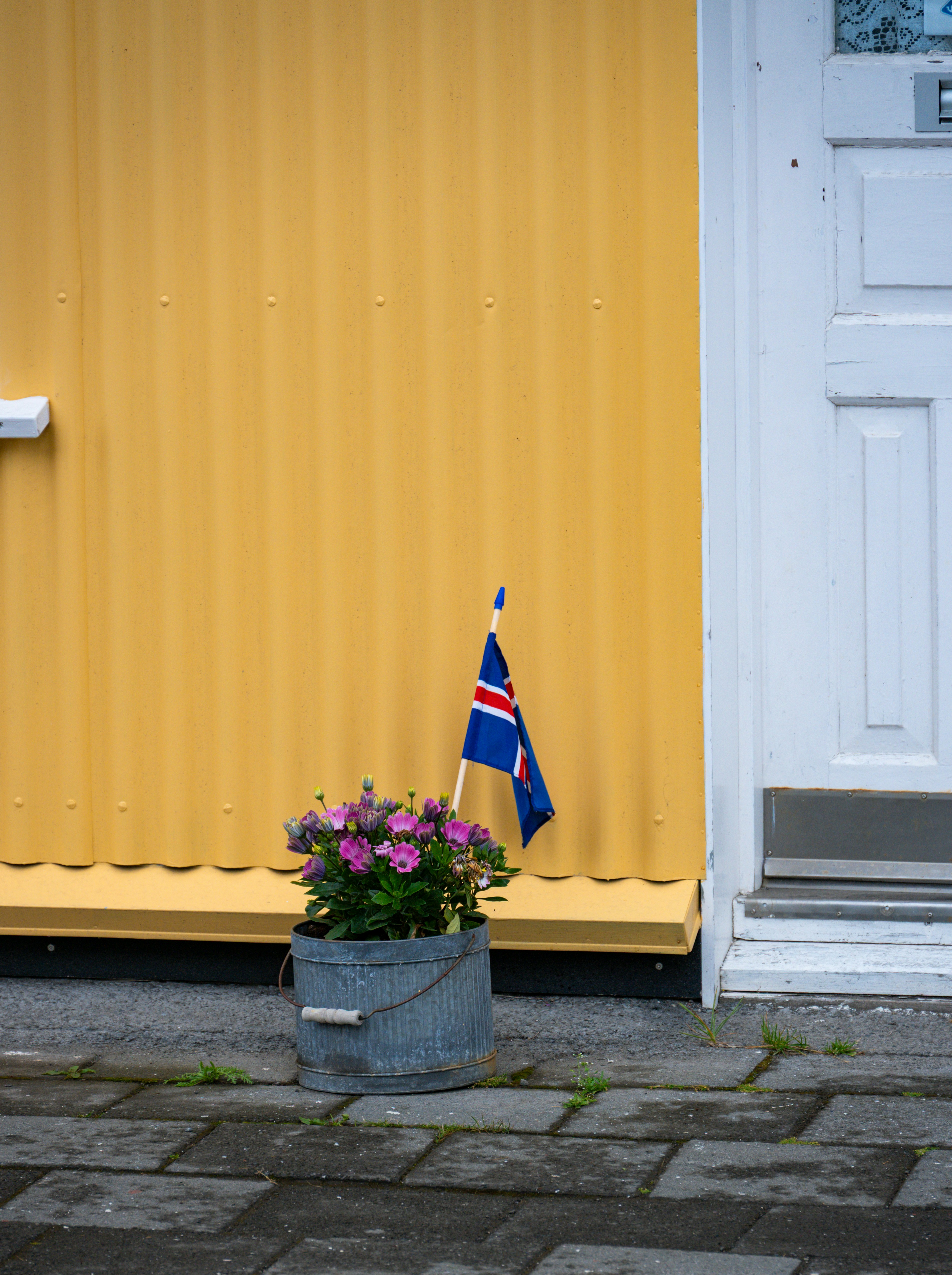 A small flag and flowers by a yellow wall.