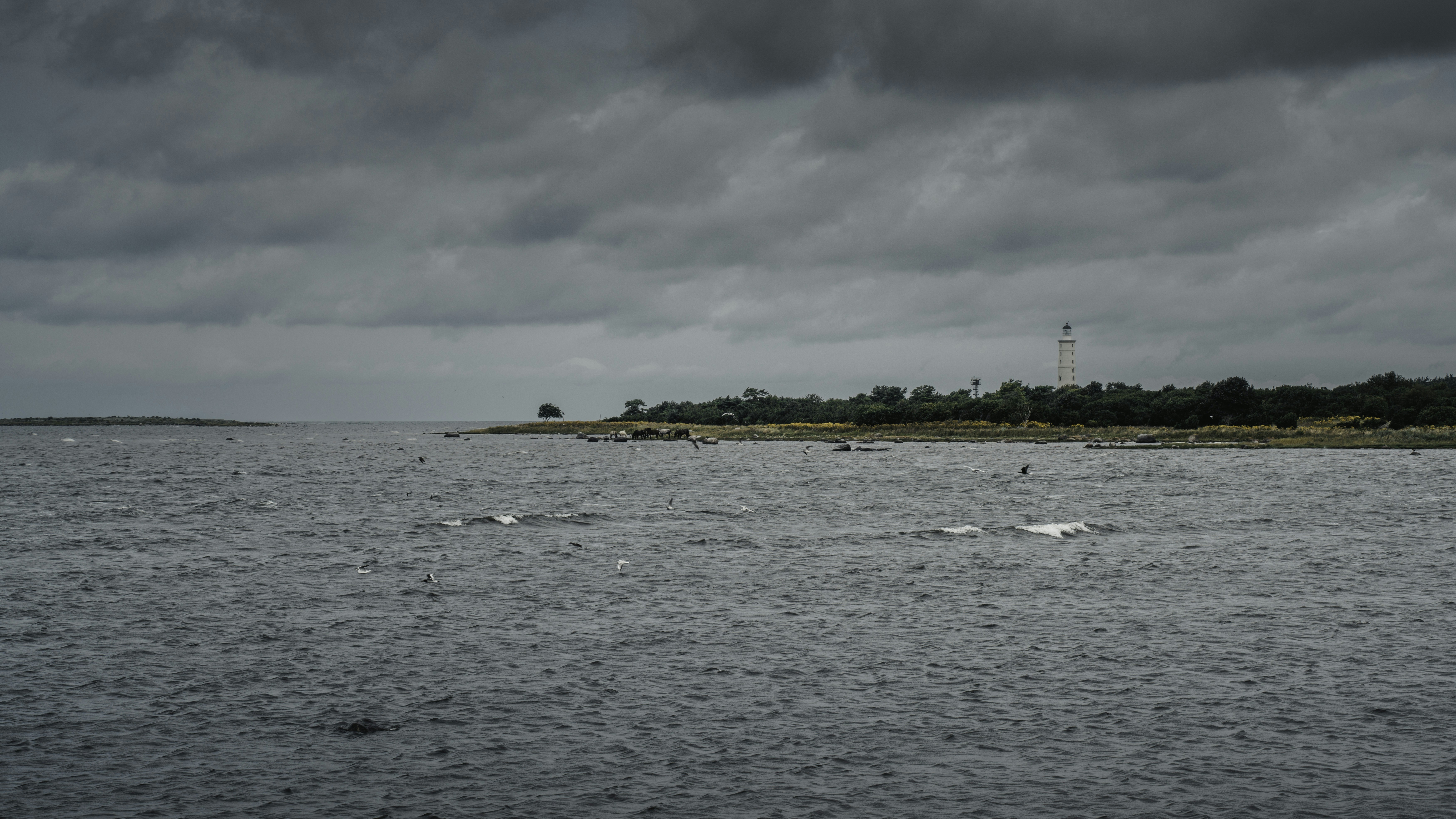 Whispers of the Stormy Sea
