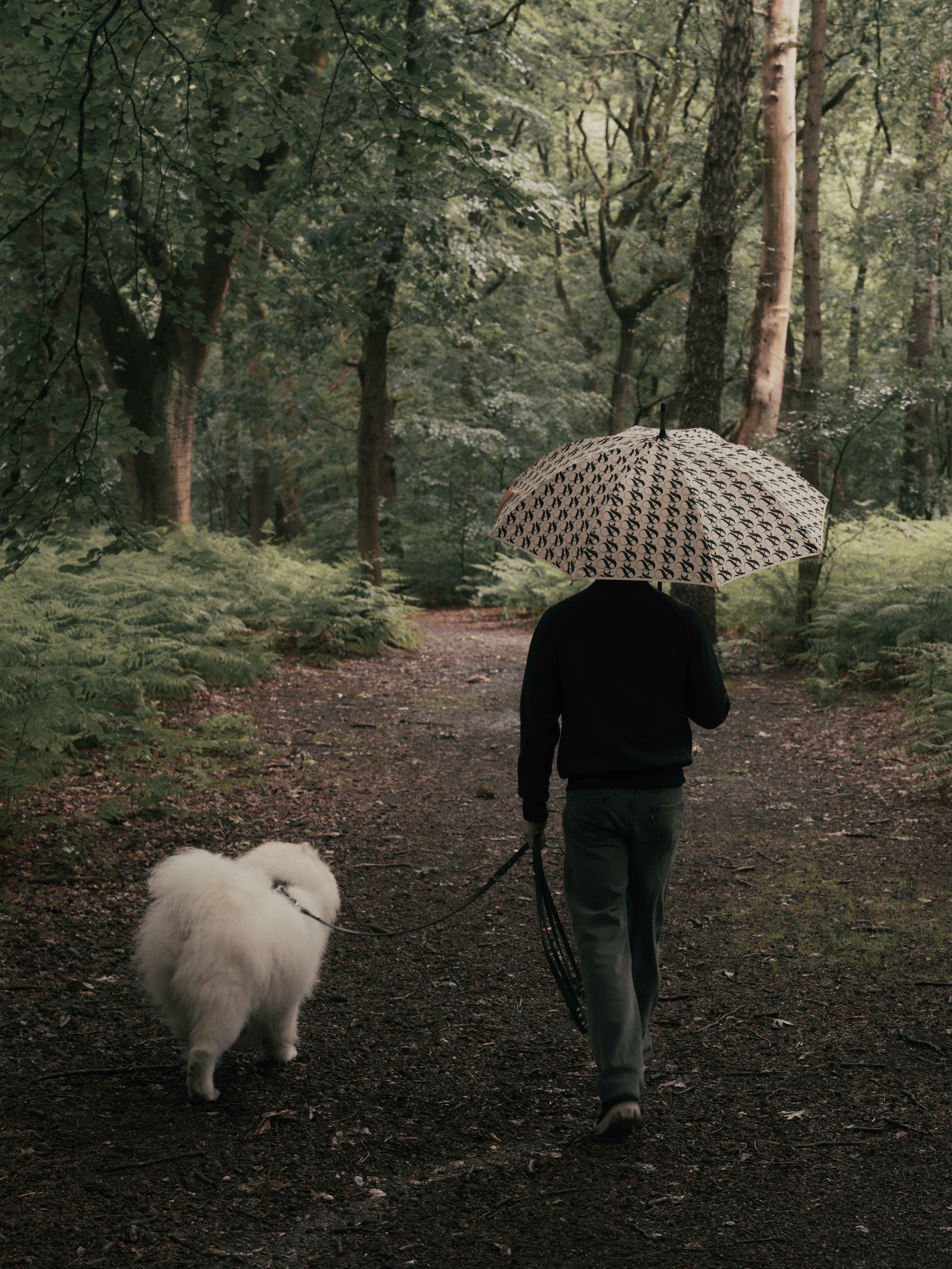 Whispers of a Rainy Stroll