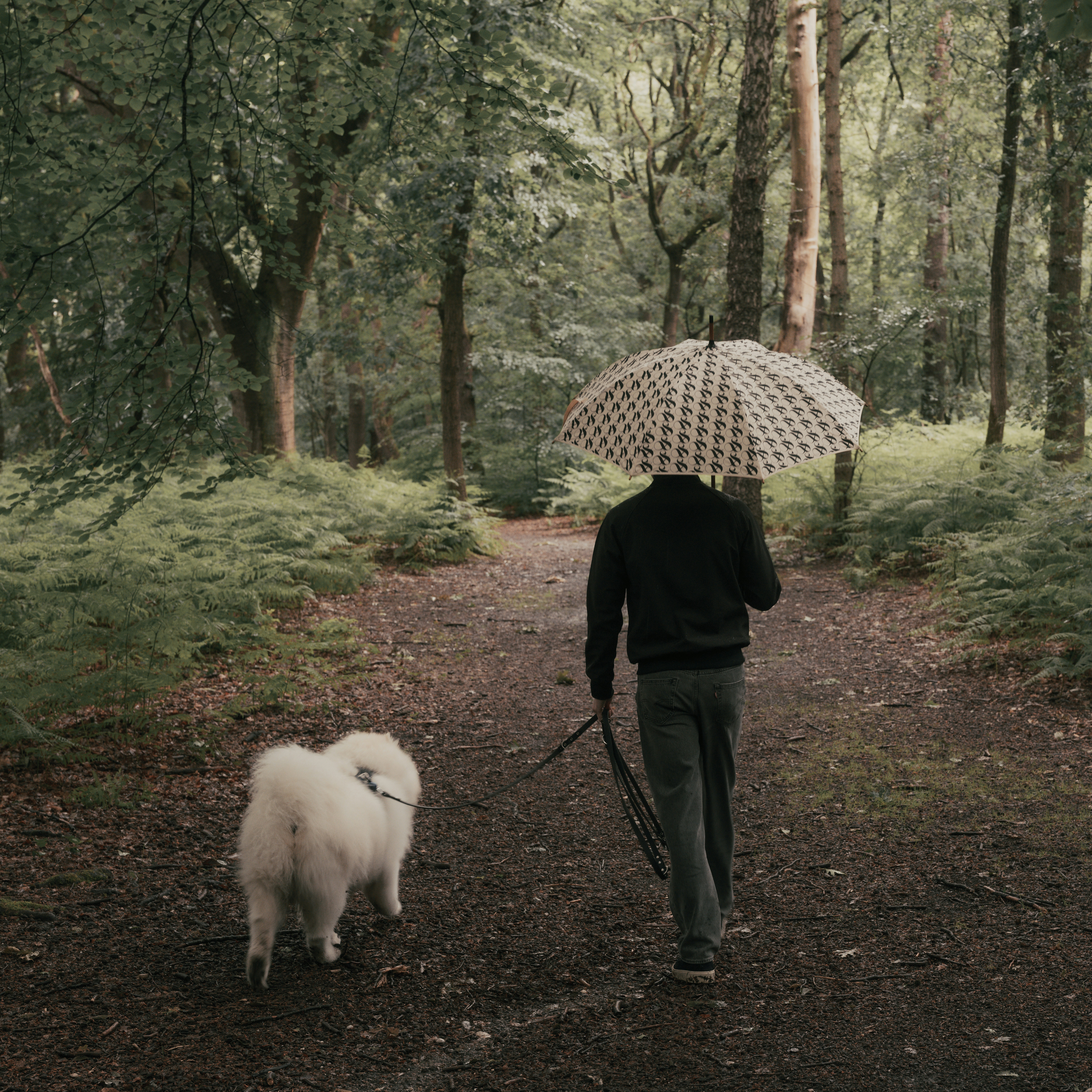 Umbrella in the Pines: A Quiet Forest Walk with a Fluffy Companion