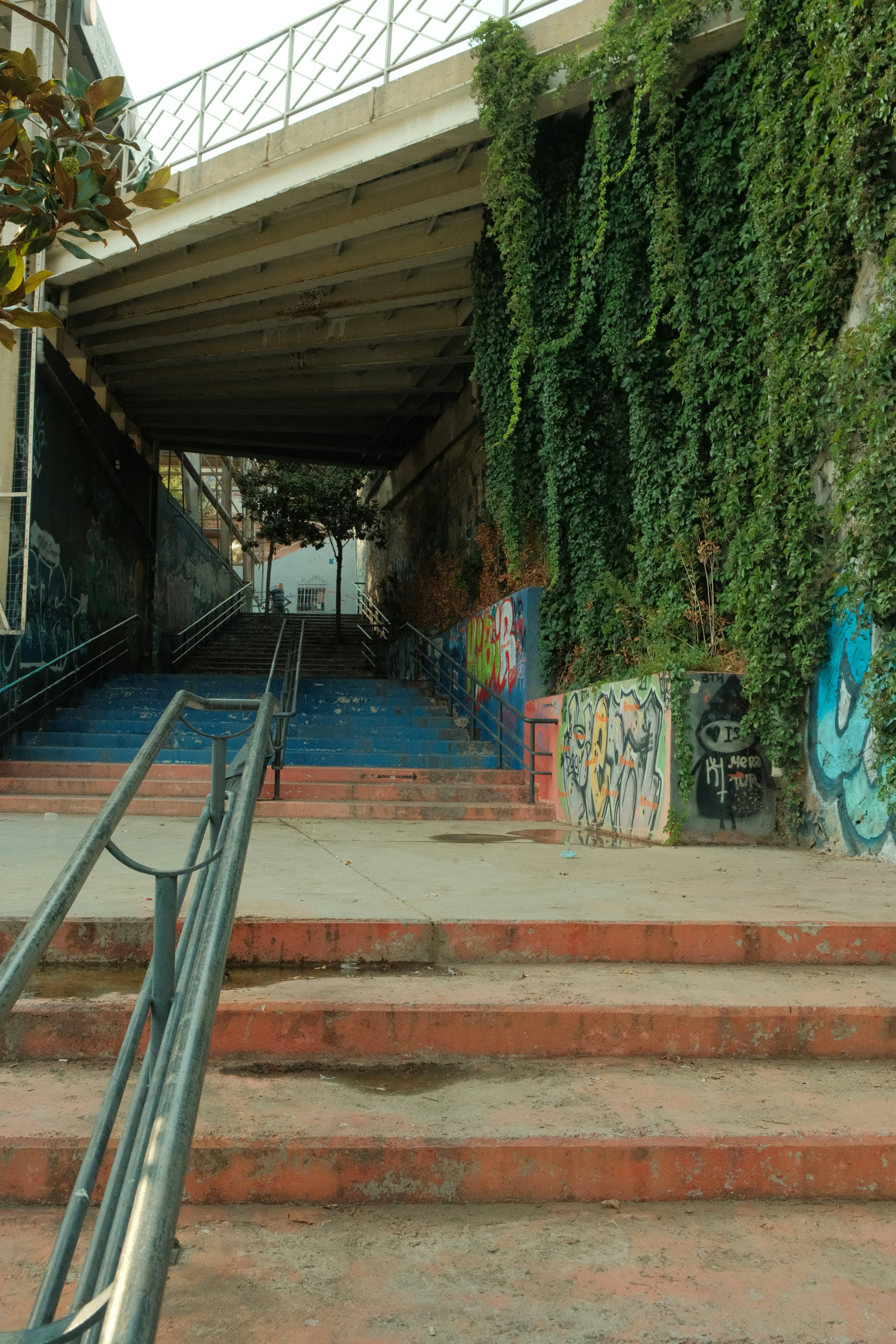 Stairs and ramp leading under a green vine-covered bridge.