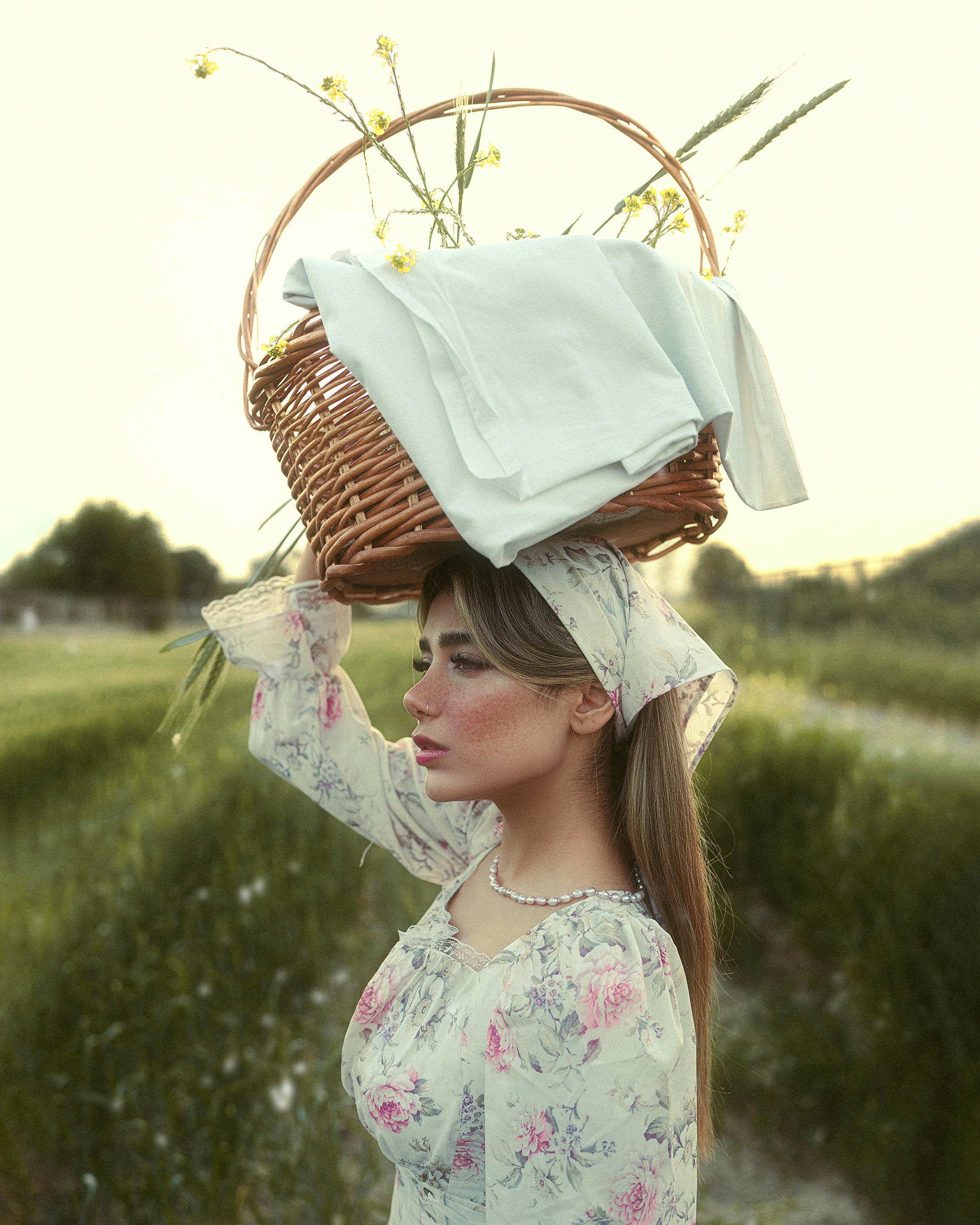 Photo by mahdi chaghari with Sony Alpha 7R IVA