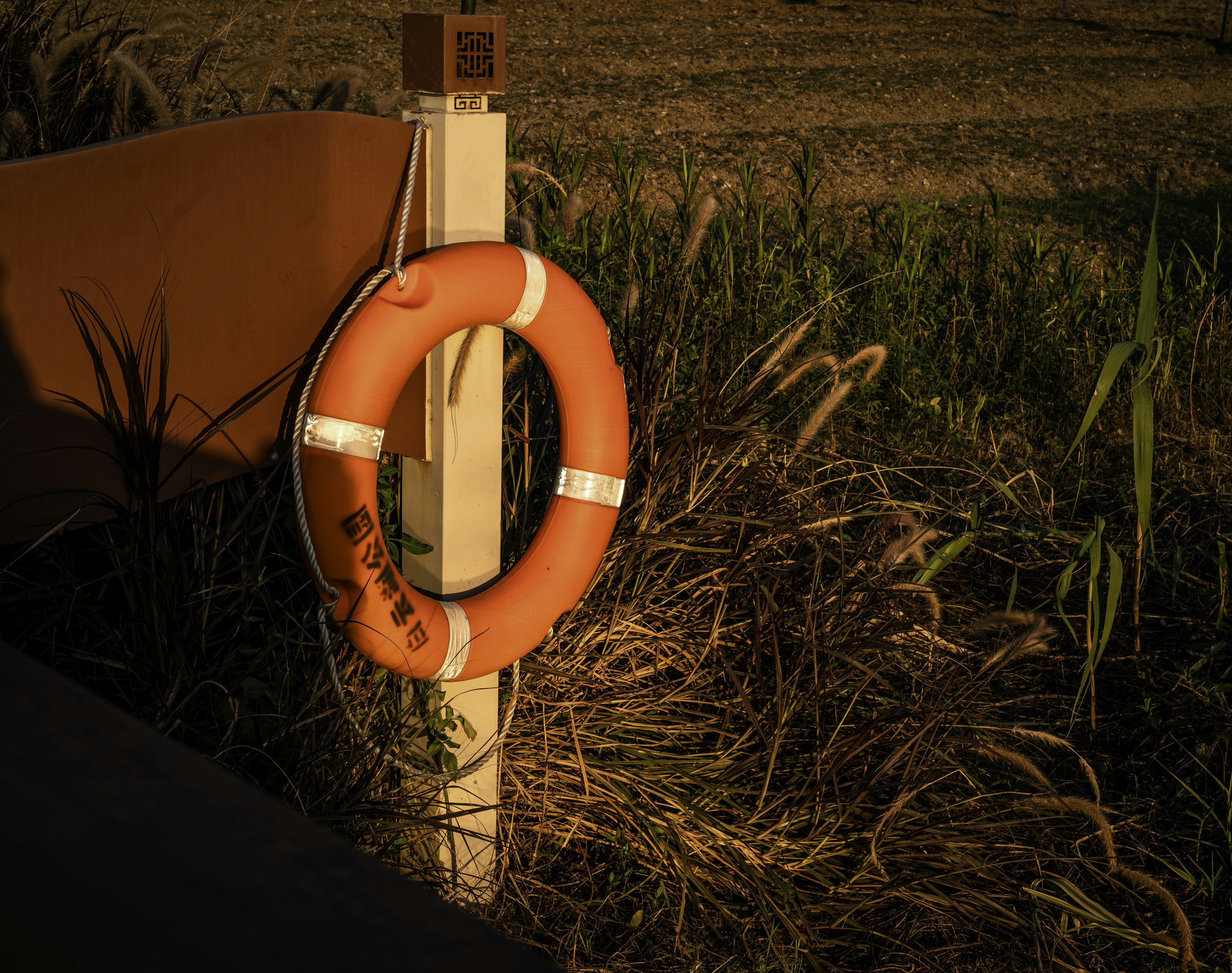 An orange lifebuoy hangs on a post amidst wild grasses, bathed in the warm, dramatic light of the golden hour. The setting sun illuminates the scene, creating a rich contrast between the vibrant safety equipment and the rustic, natural textures of the surrounding field. | Orange lifebuoy hanging on a wooden post