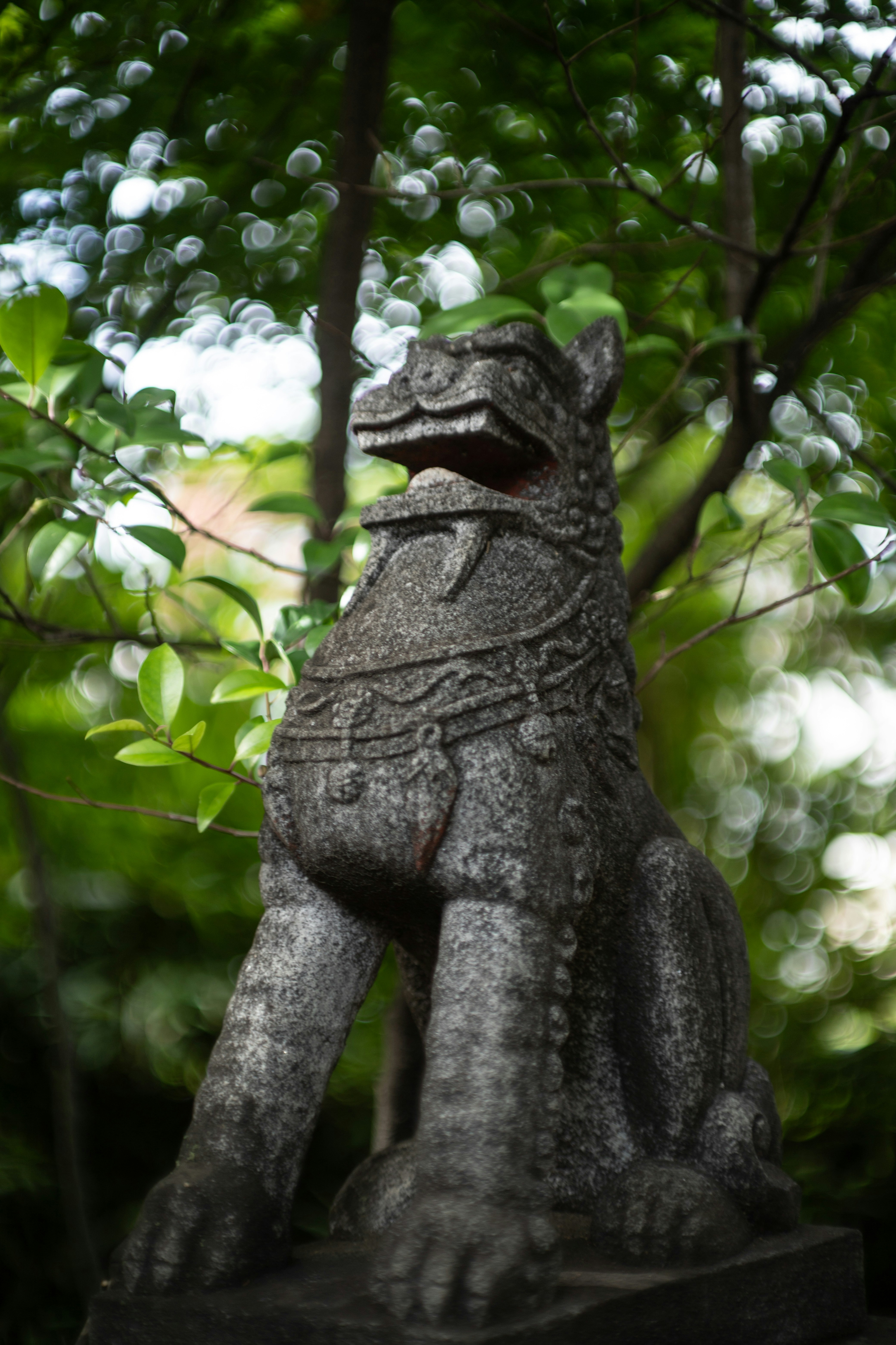Stone lion statue in lush green foliage