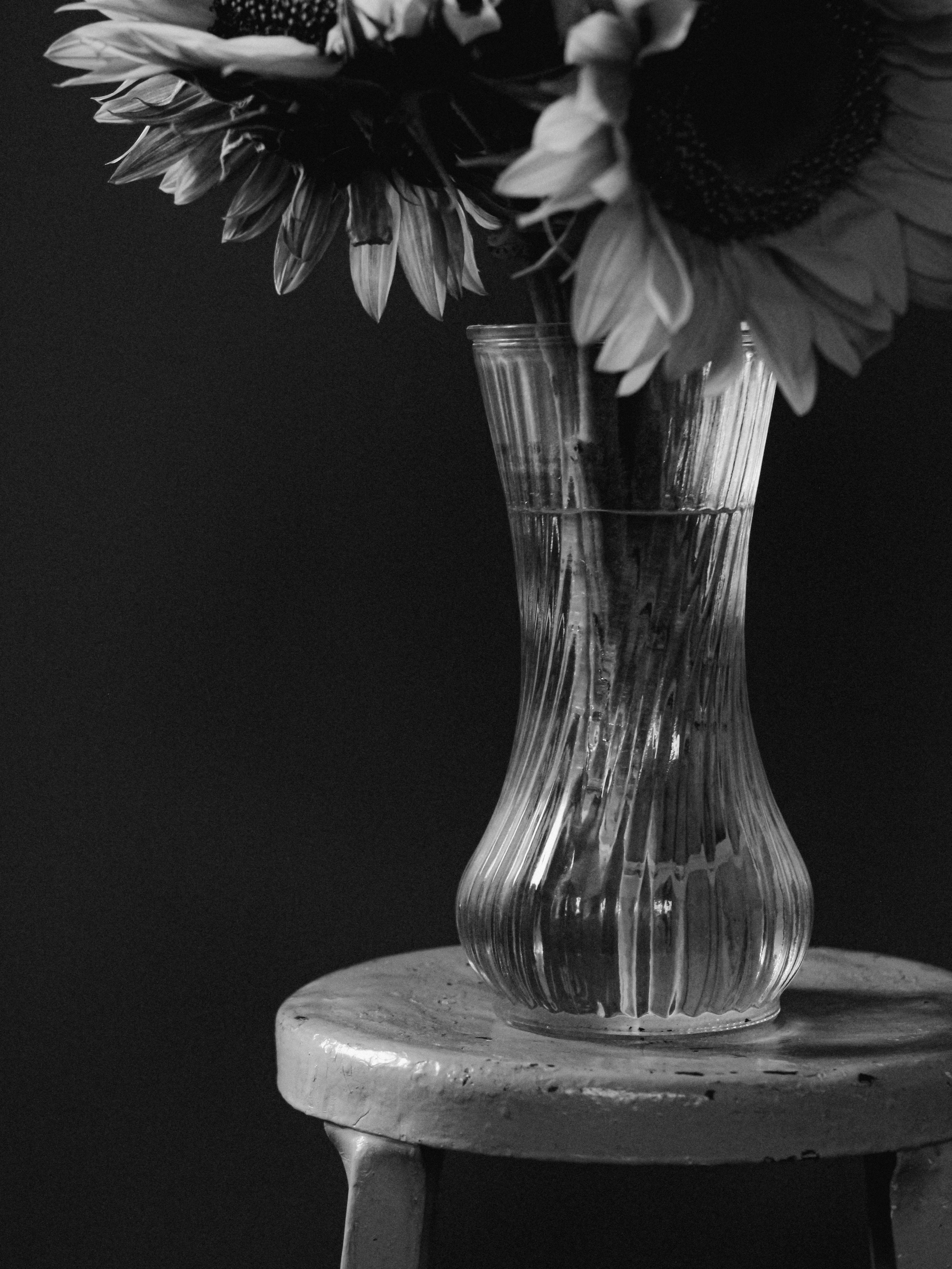 black and white vase of sunflowers still life | Sunflowers in a glass vase on a stool