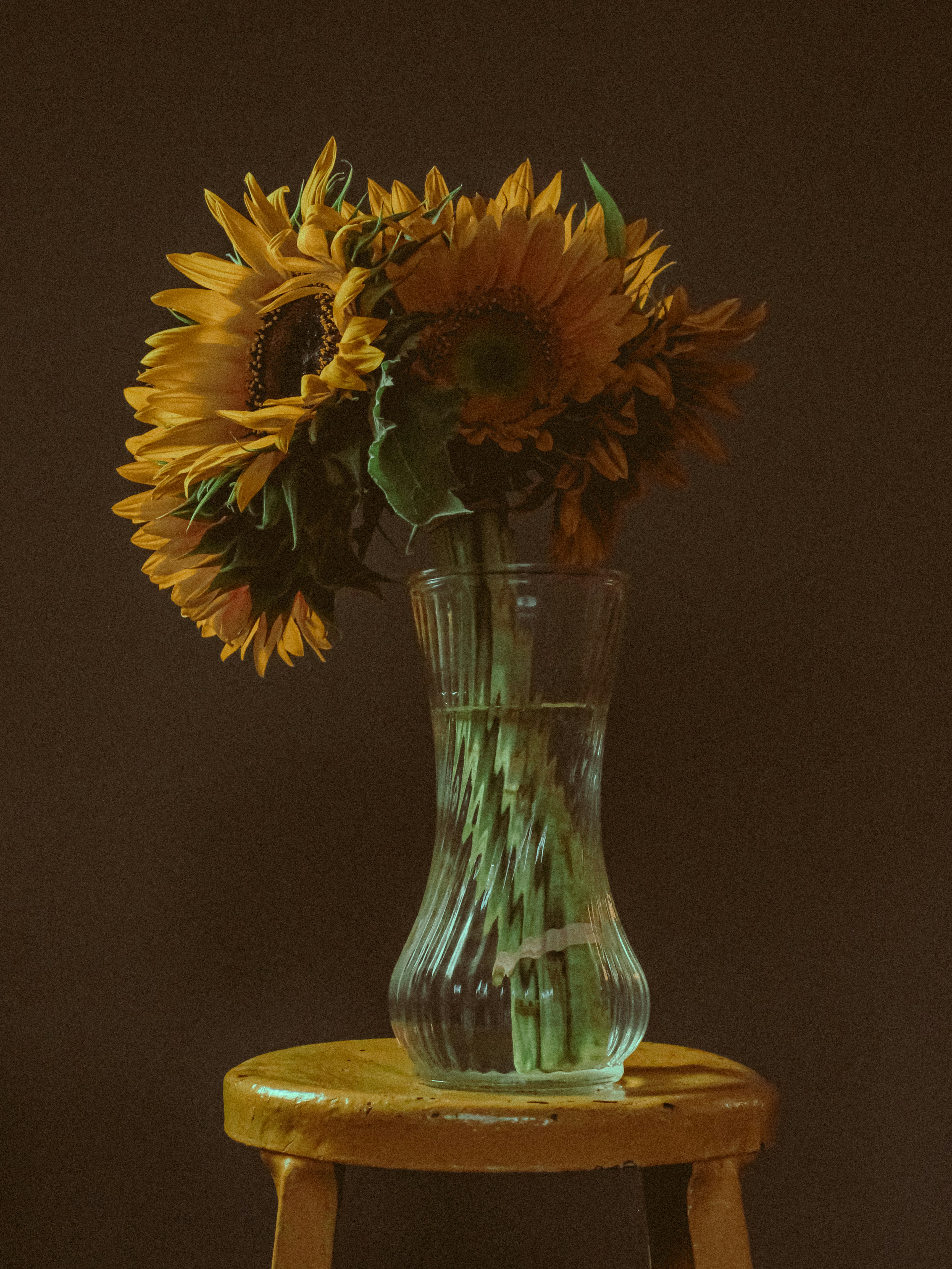 vase of sunflowers still life | A bouquet of sunflowers in a glass vase.