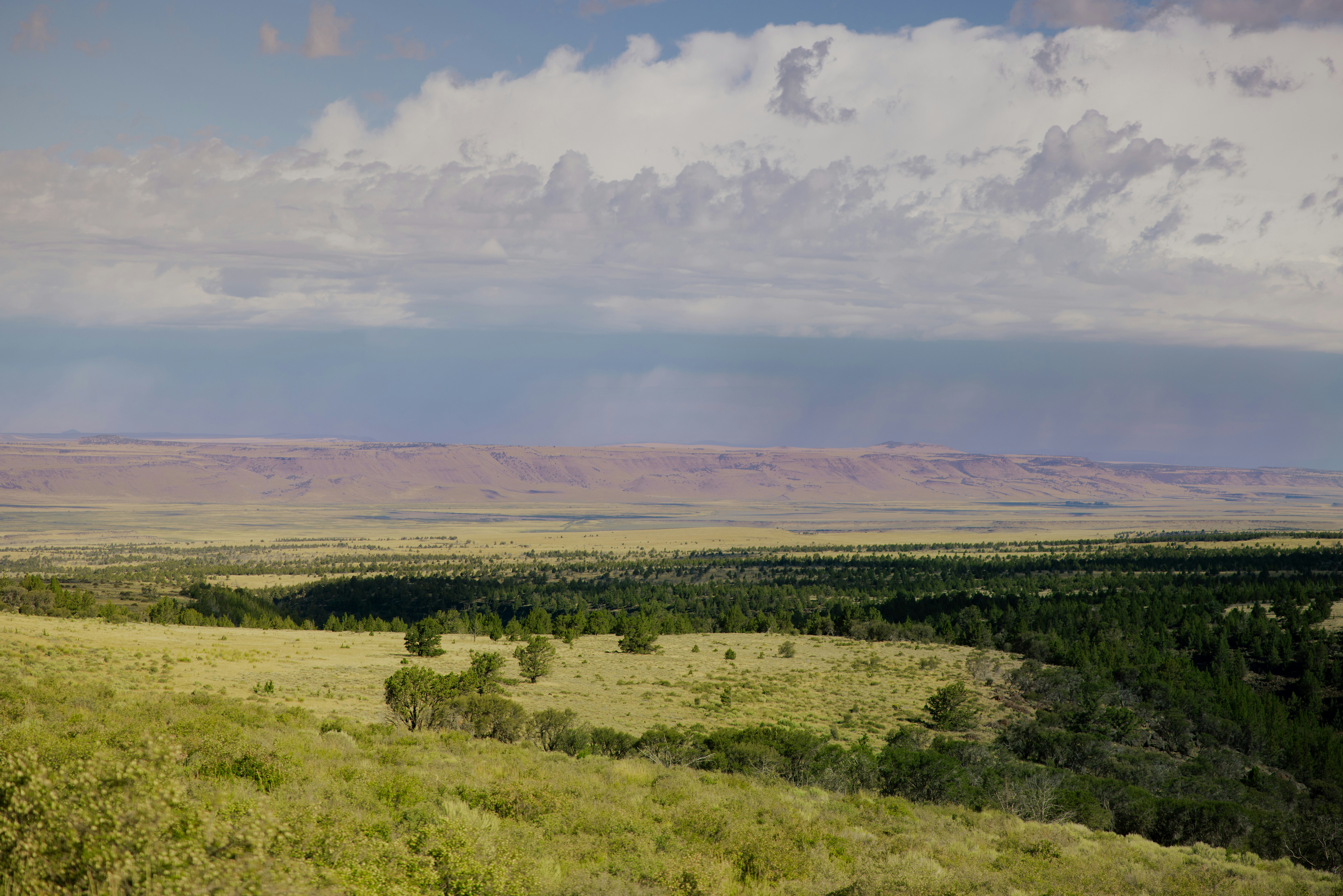 Vast grassy plain with distant mountains under cloudy sky photo – Free ...