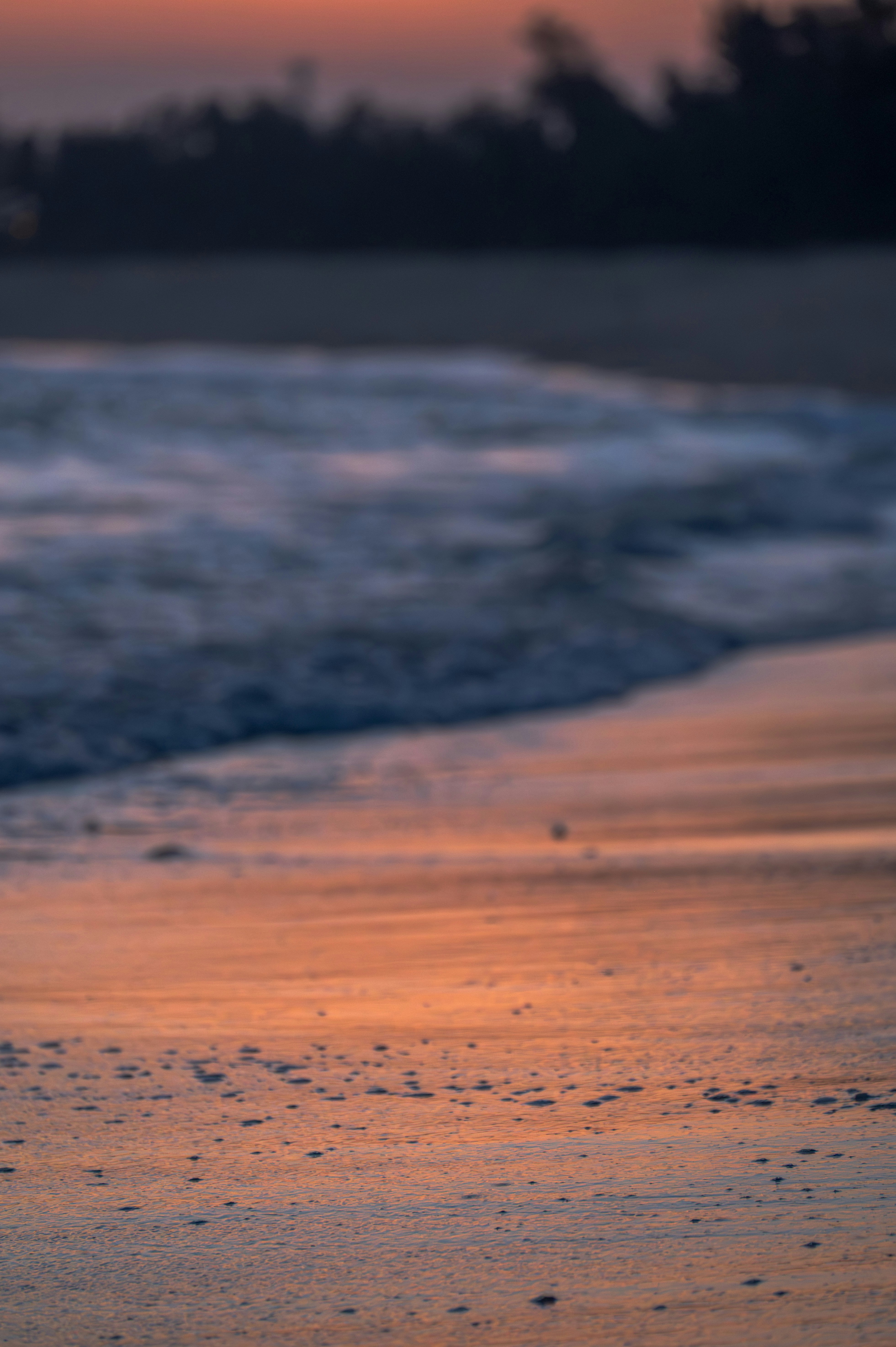 Whispers of the Tide: A Serene Coastal Evening