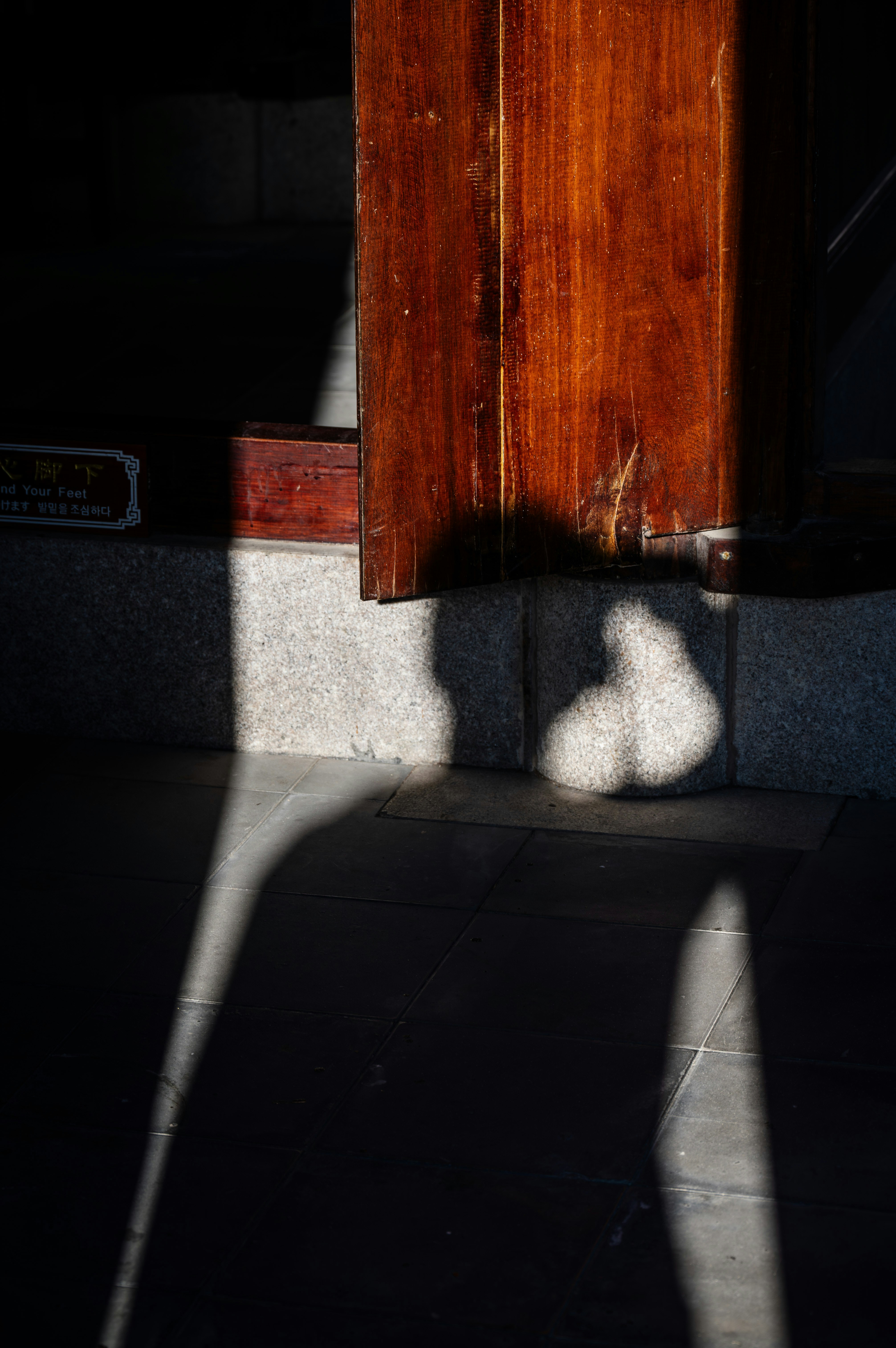 Whispers of Light and Shadow