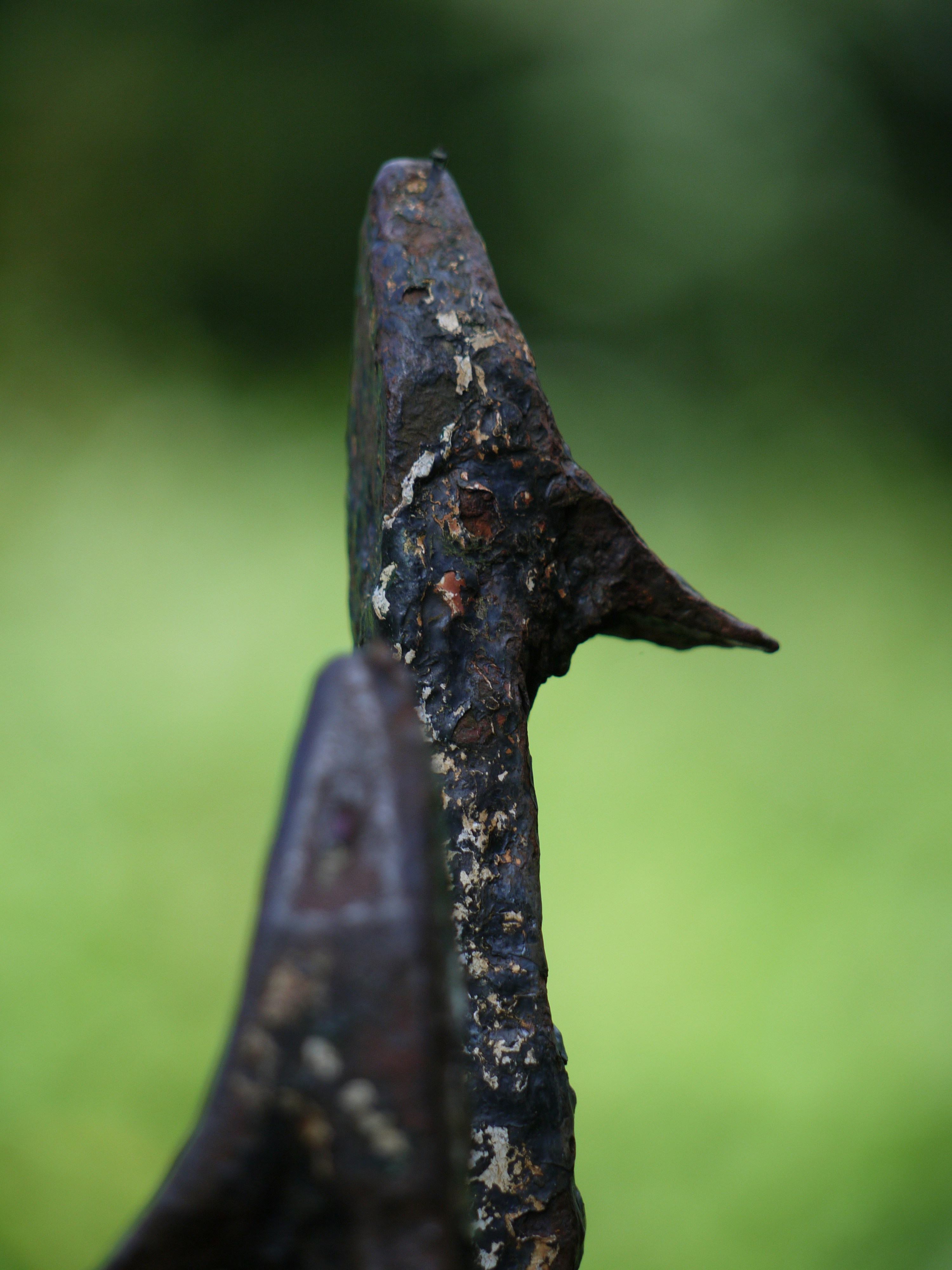 Close-up of a dark, weathered wooden object outdoors