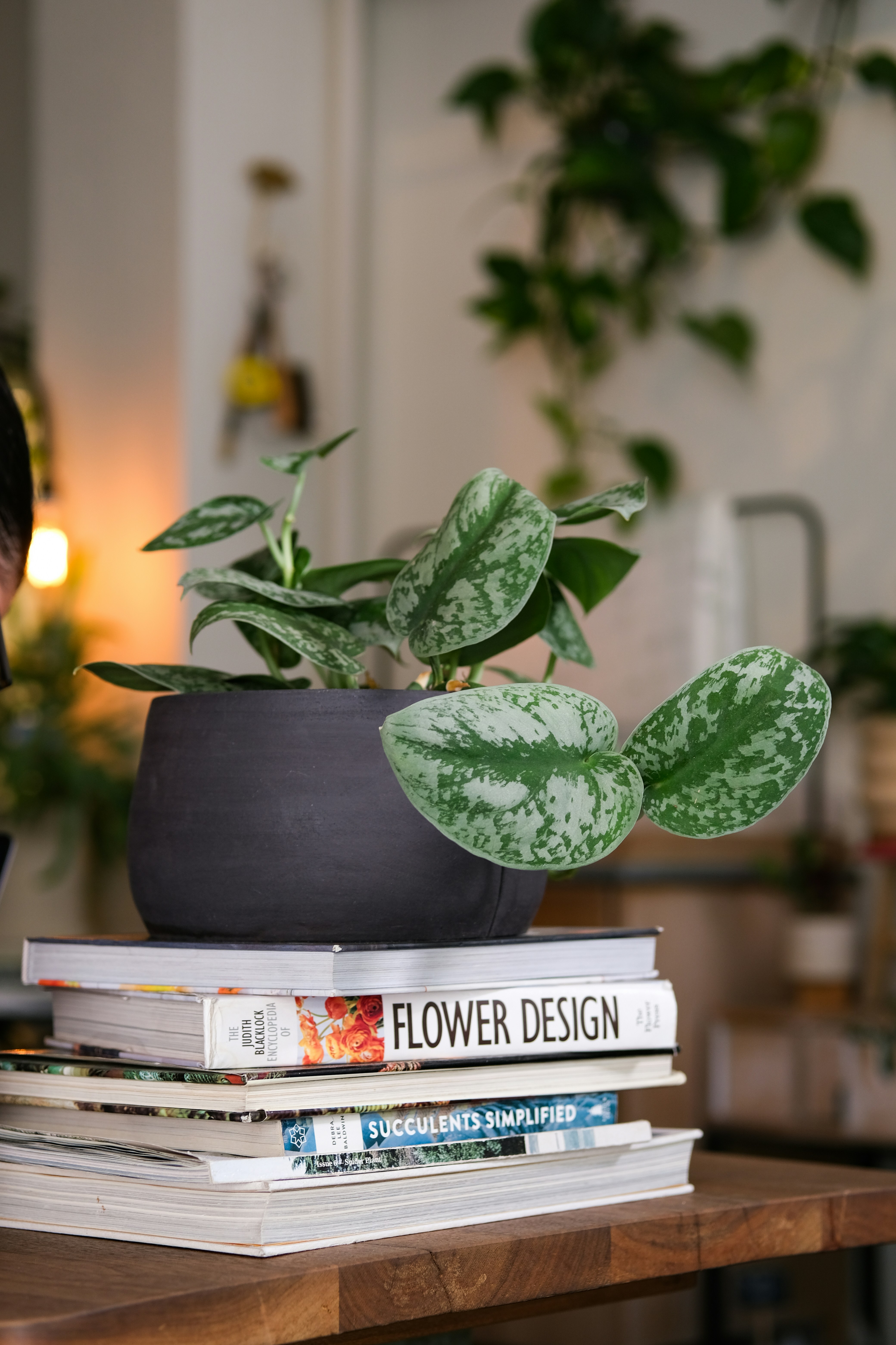 Botanical Harmony: A Study in Greenery and Literature