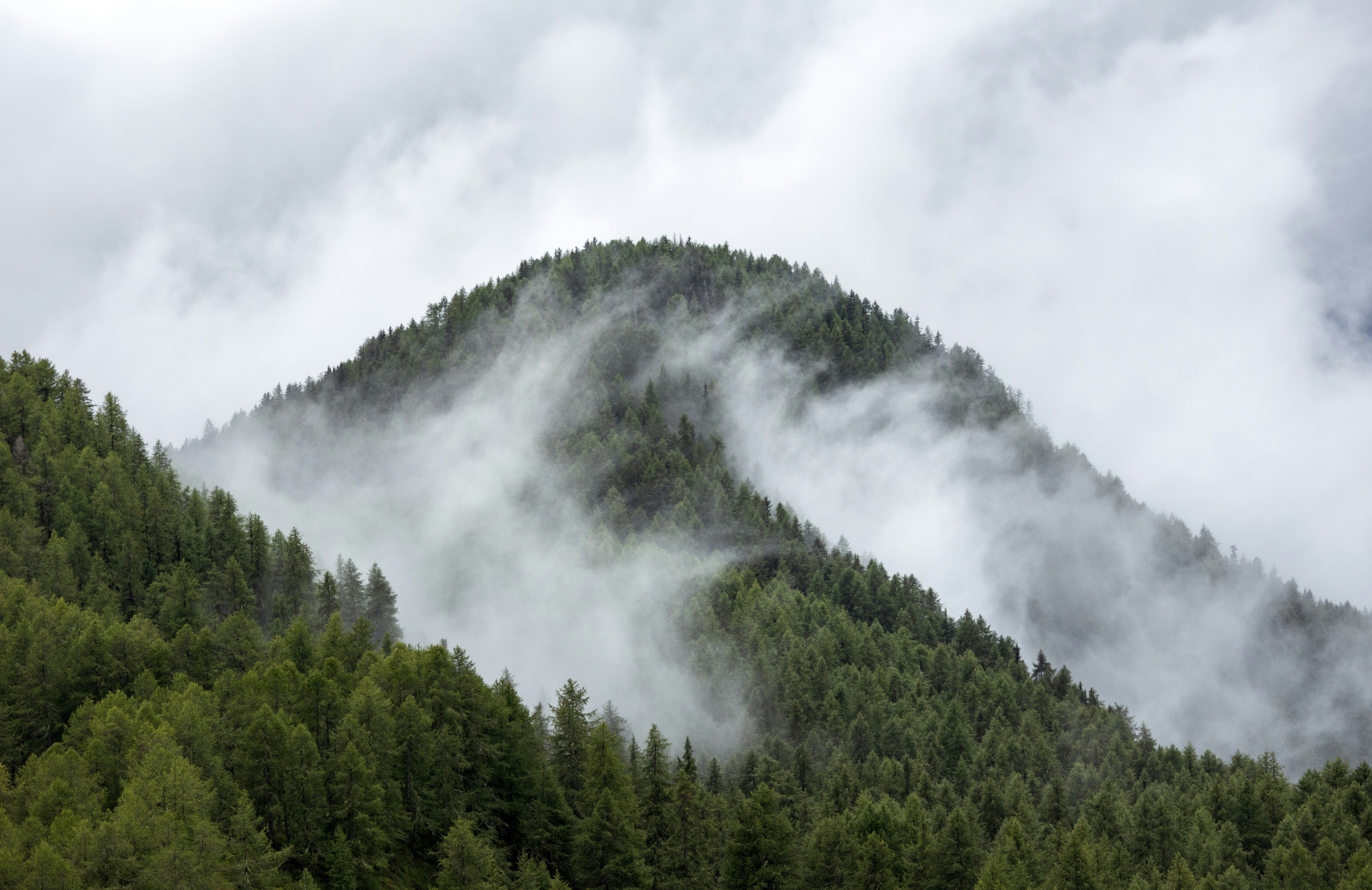 Lush green mountains partially shrouded in swirling mist, creating an atmospheric scene that evokes tranquility and mystery.