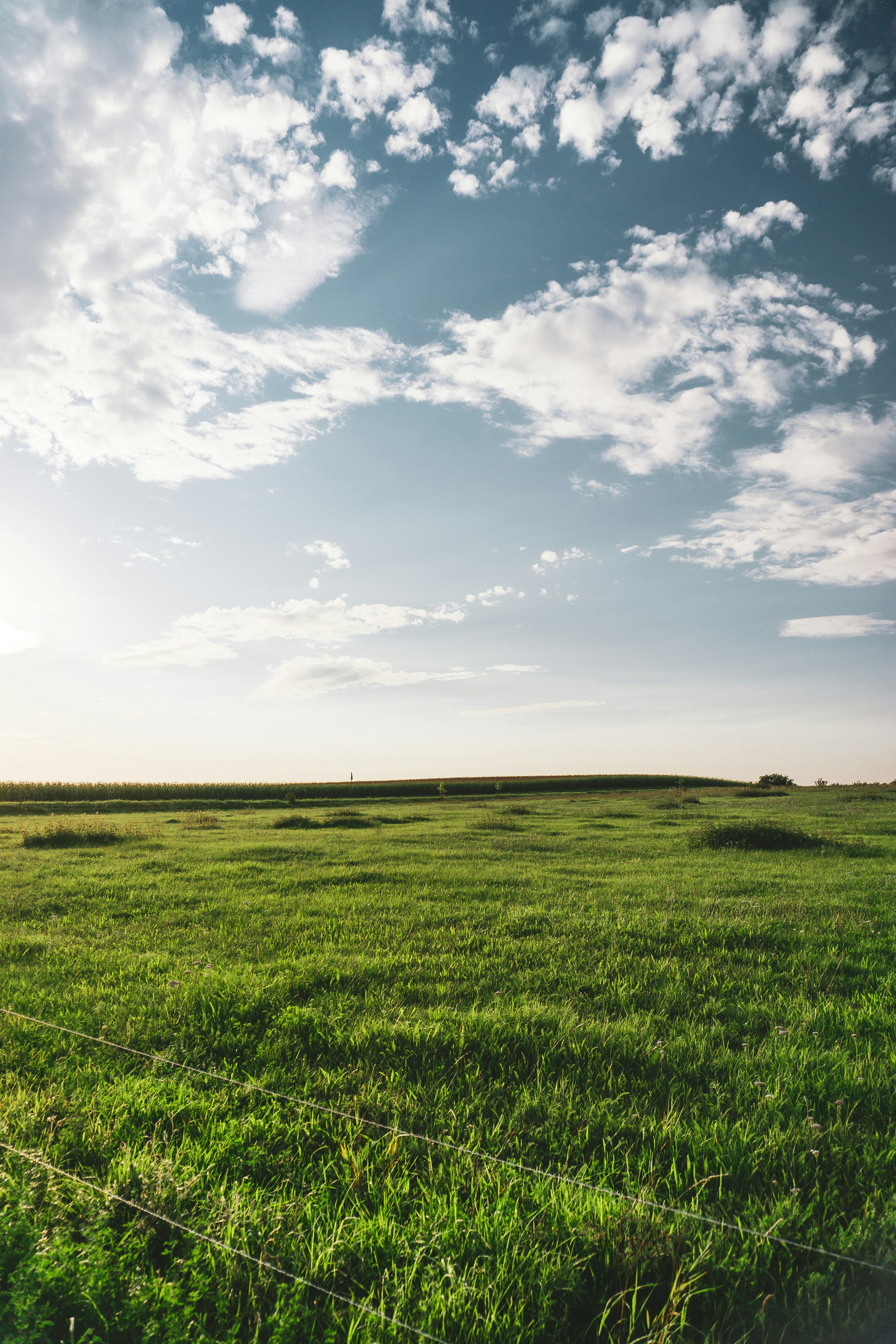 Photo by Sindy Süßengut with Sony Alpha 6000