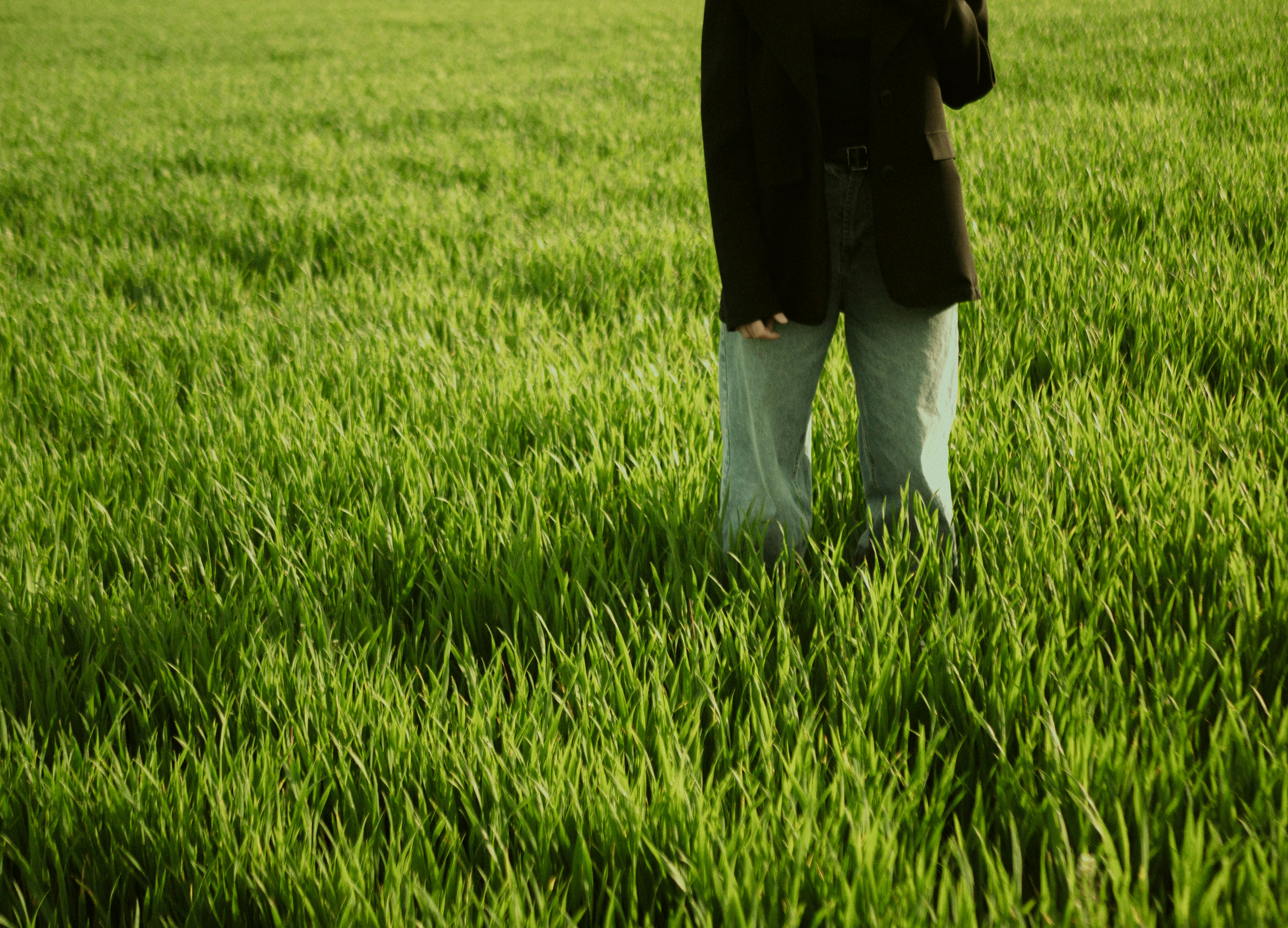 Emerging from the Green: A Moment in Nature