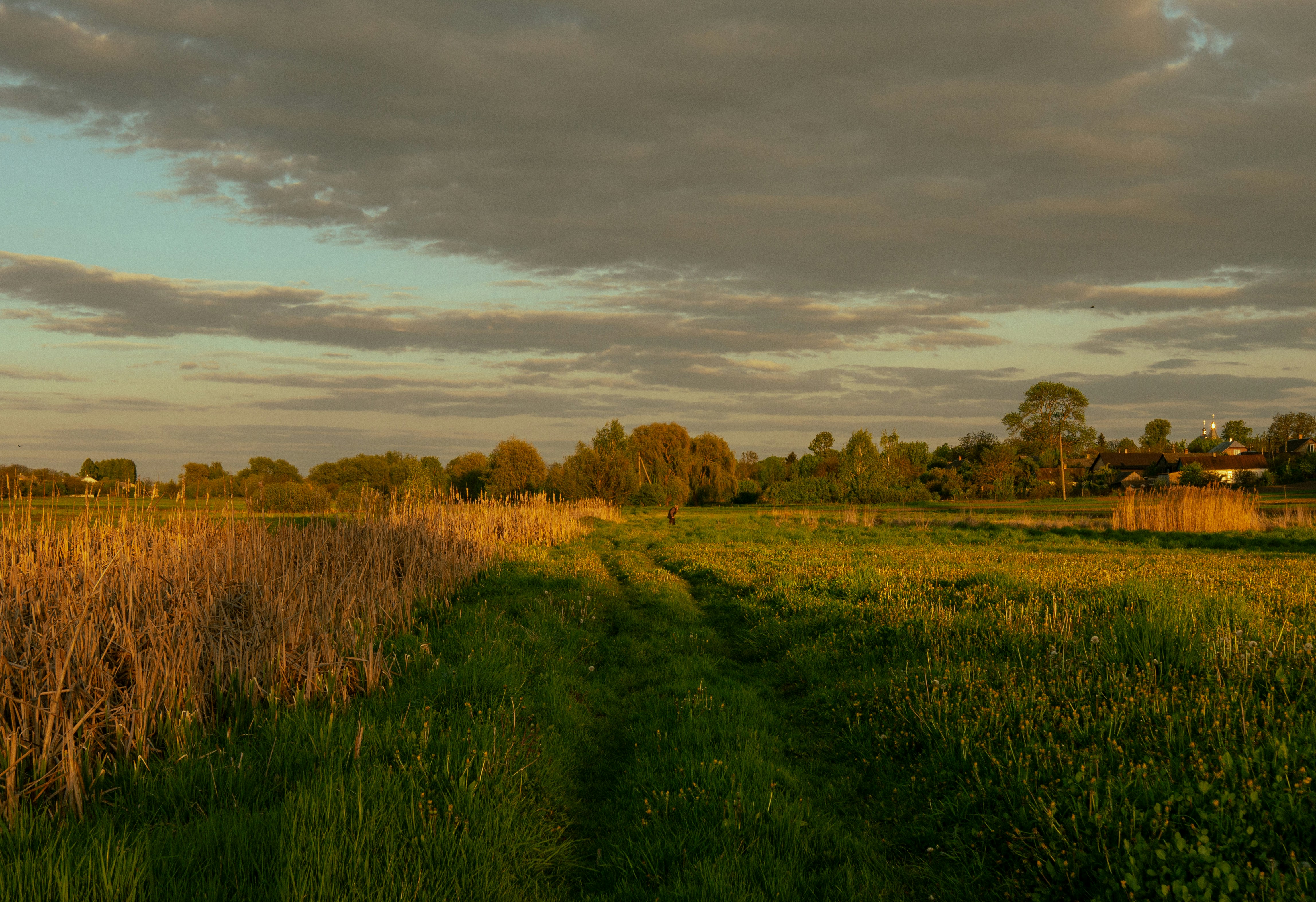Golden Hour Serenity: A Path Through Nature's Canvas