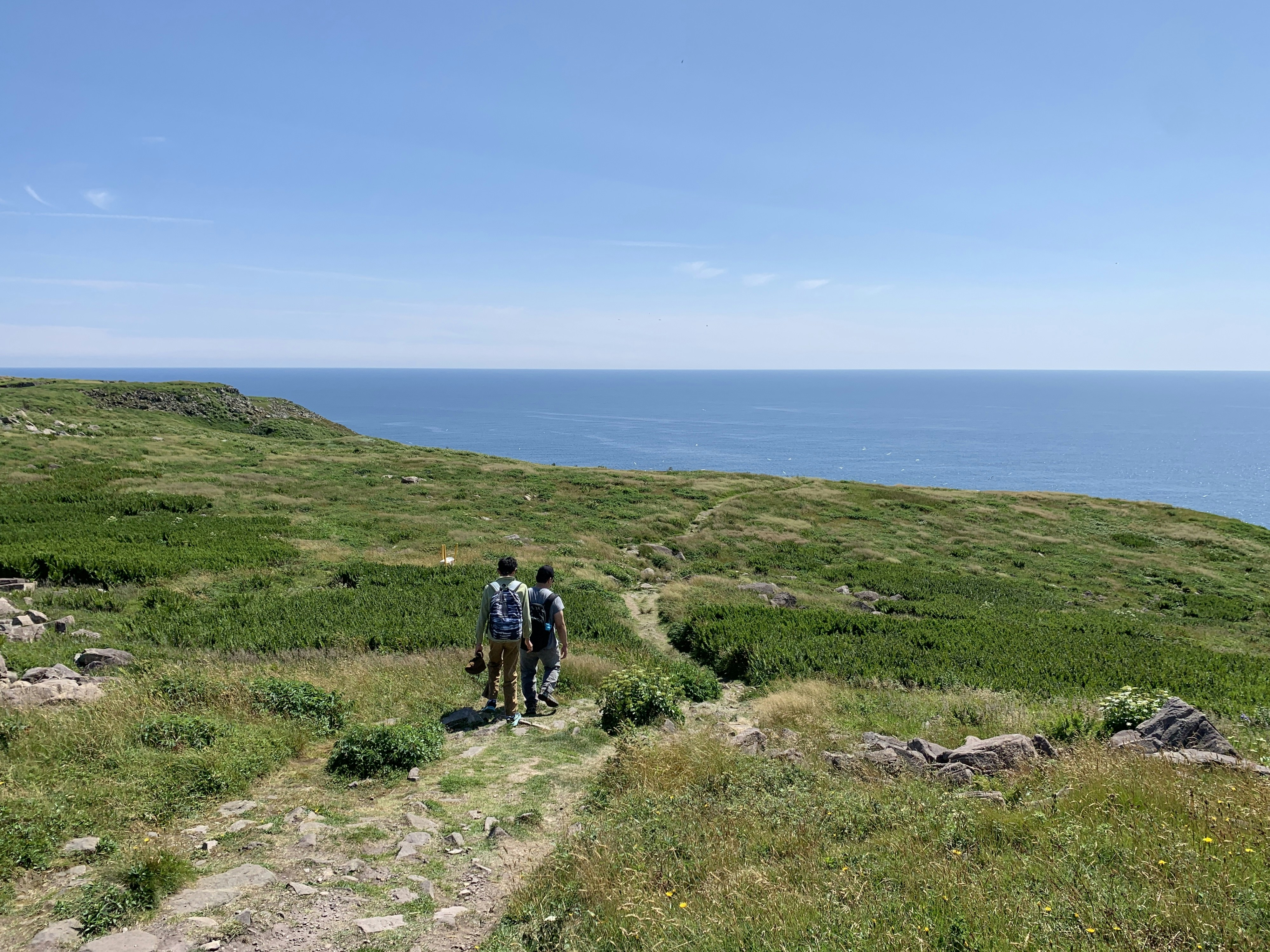 Two hikers traverse a grassy path leading to the ocean, framed by lush greenery and a clear blue sky. The scene captures the essence of adventure and exploration.