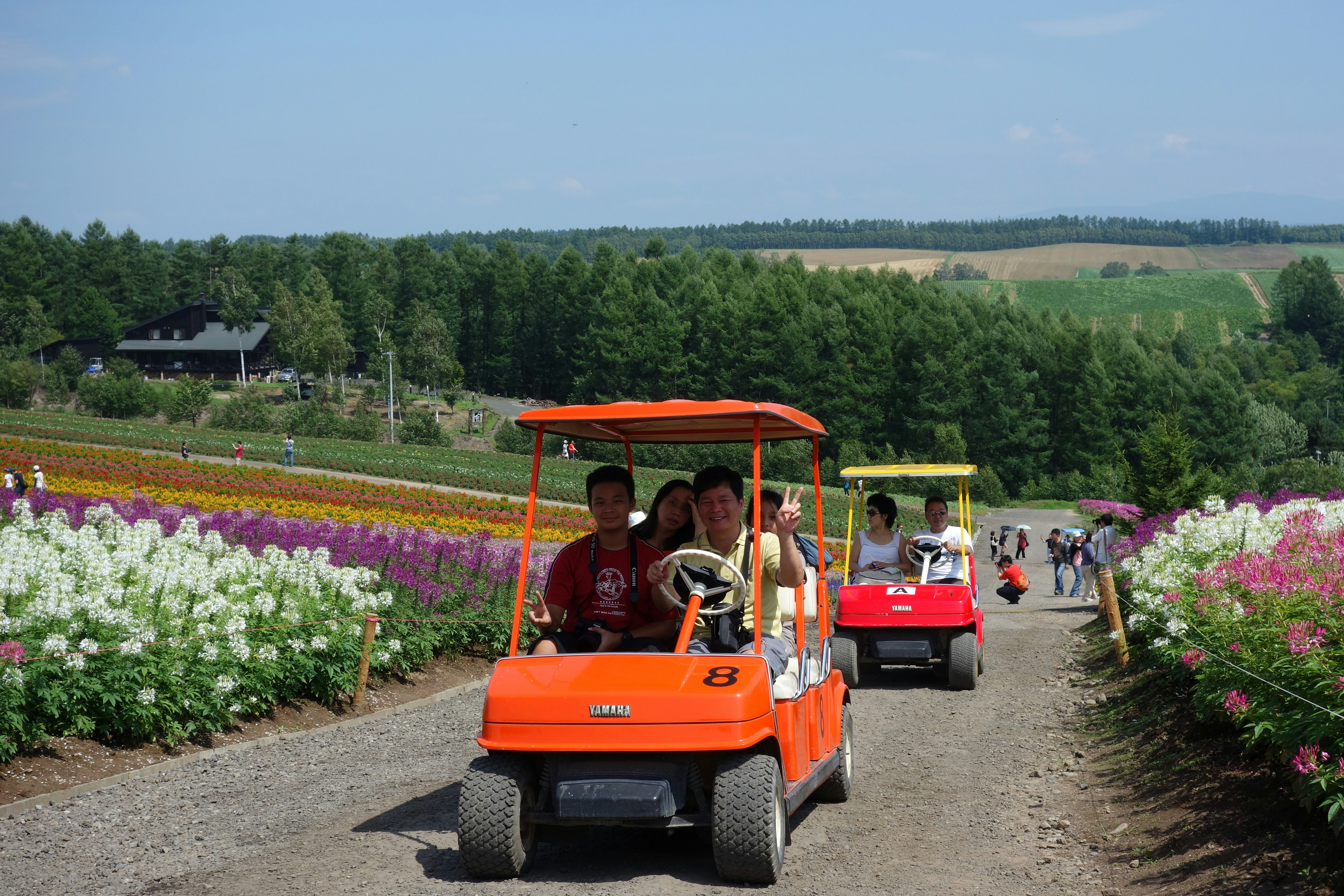 Ribbon of Bloom: An Orange Cart Traverses a Floral Avenue