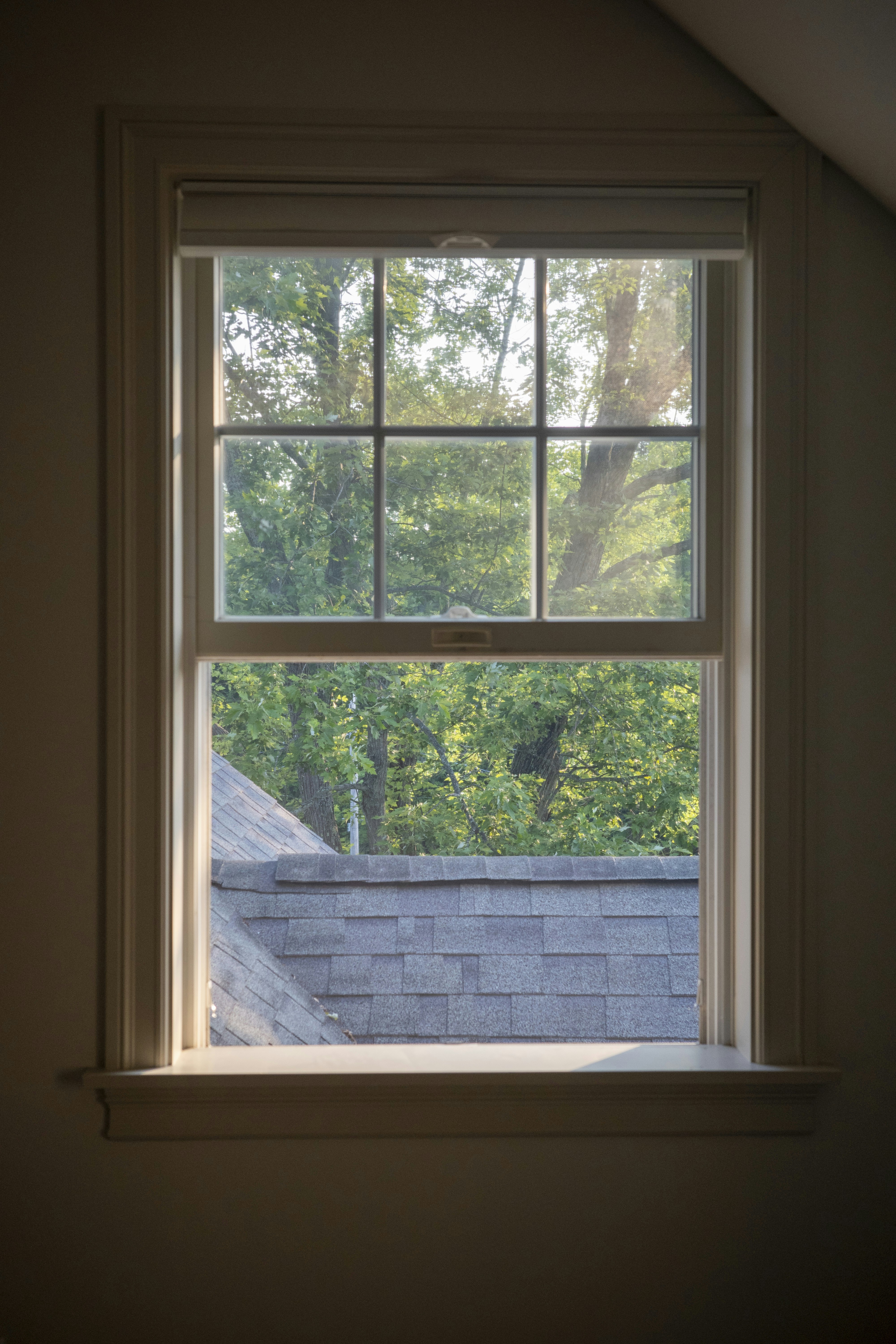 Sunlight filters through a window, illuminating the lush greenery outside and the textured roof below. The scene evokes a sense of calm and connection to nature.
