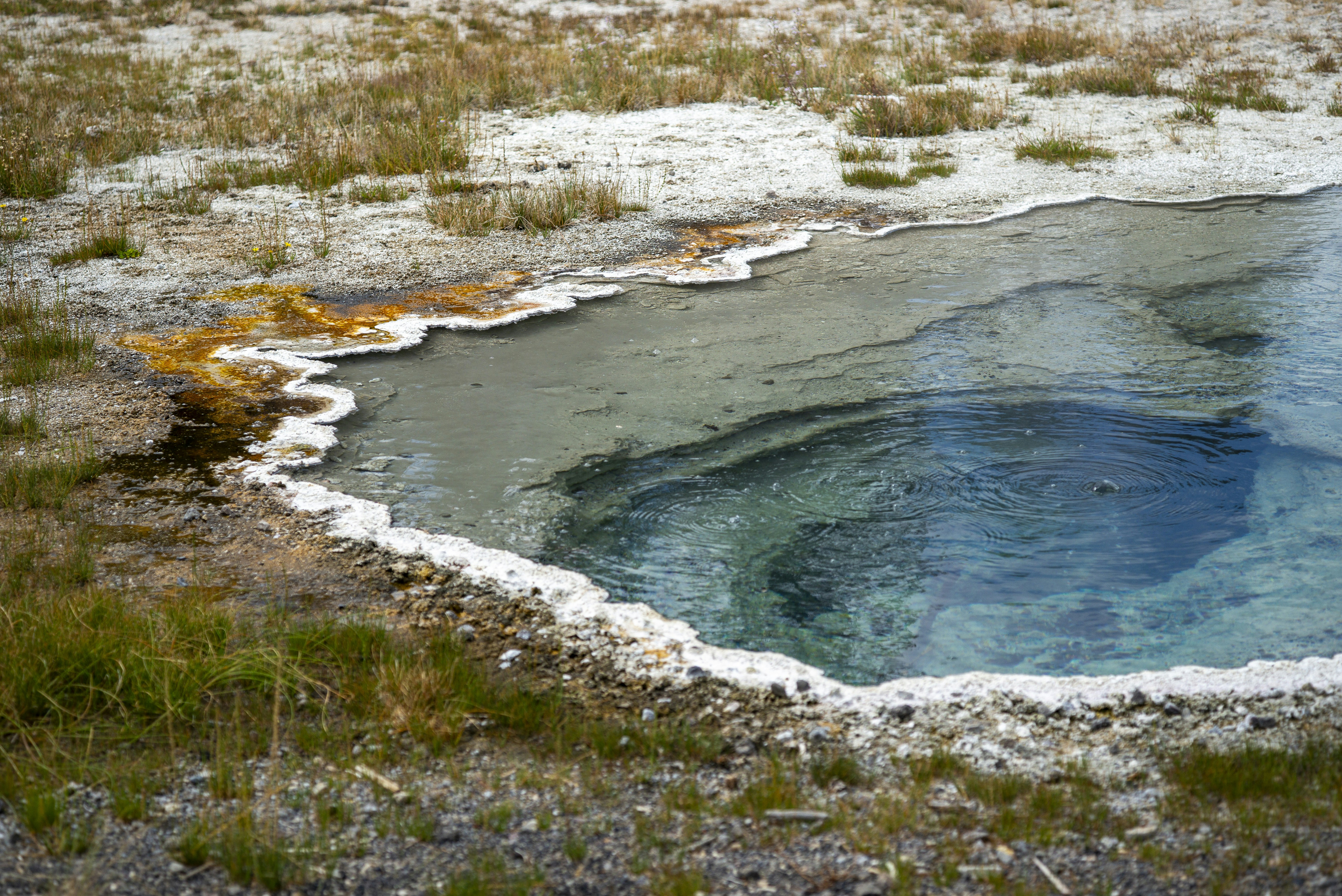 Blue hot spring with mineral deposits and dry grass photo – Free United ...