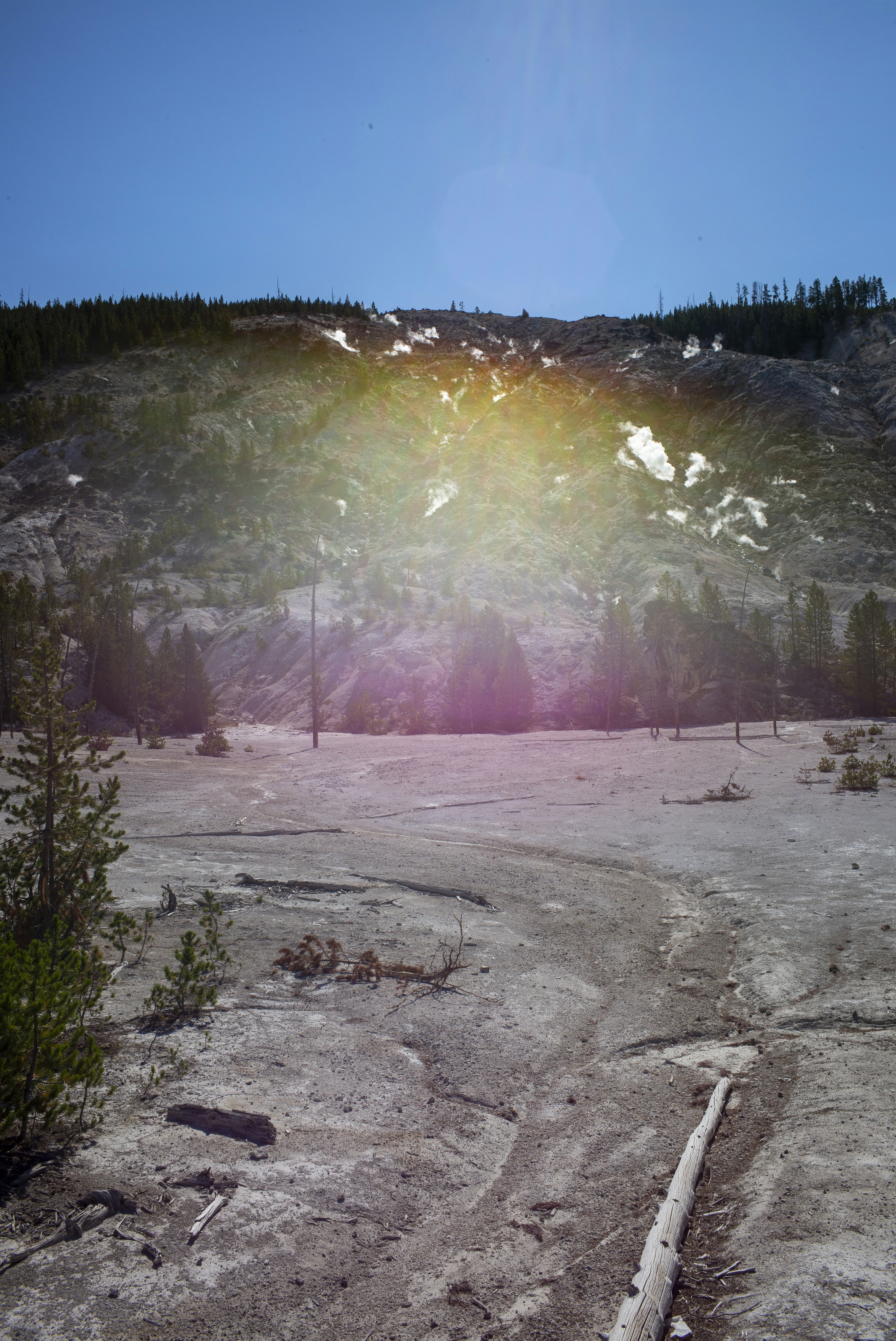 Vibrant sunlight refracting over a rocky landscape, highlighting the interplay between earth and sky. Pine trees frame the scene, adding depth to the natural beauty.