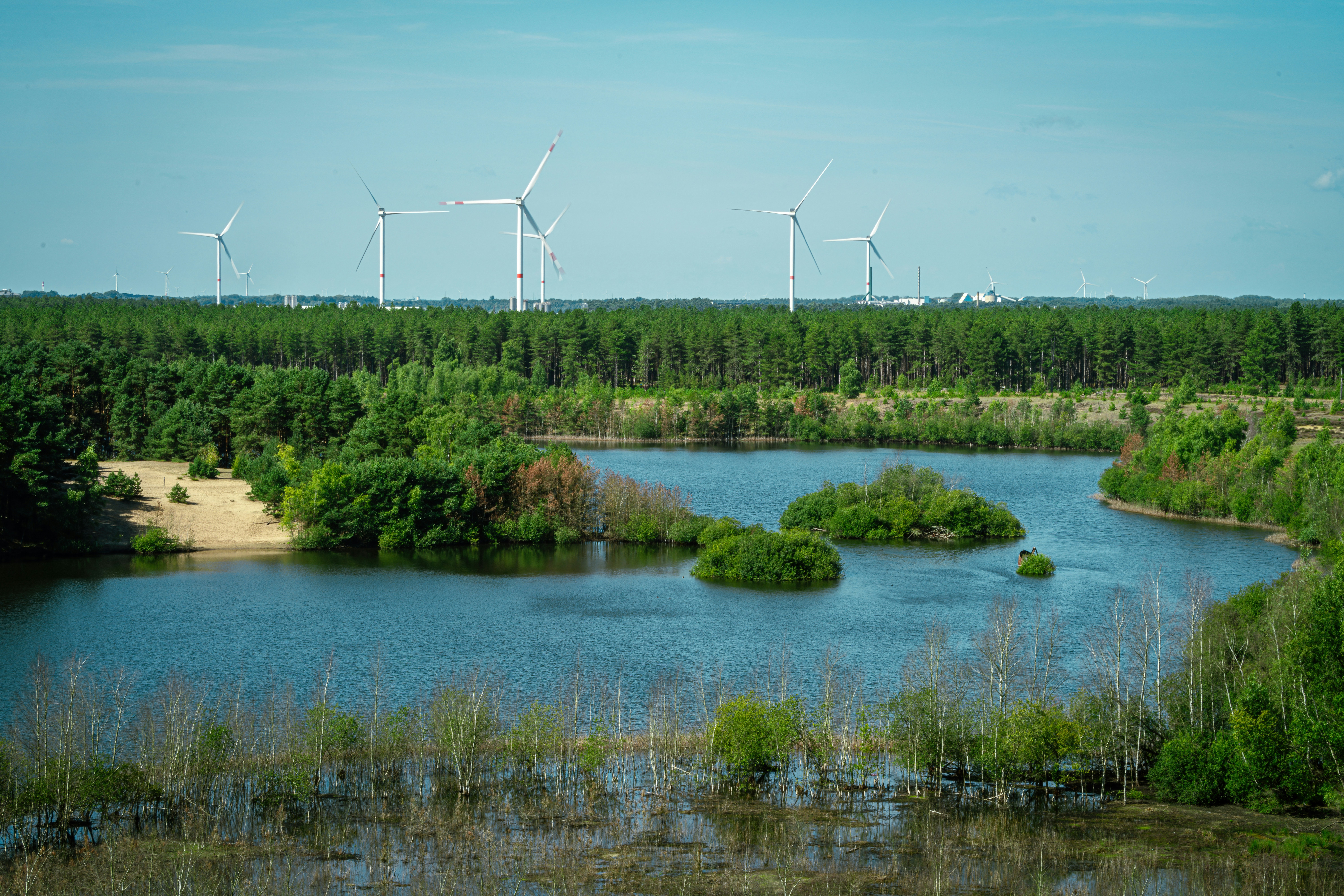 Whispering Turbines Over a Serene Wetland
