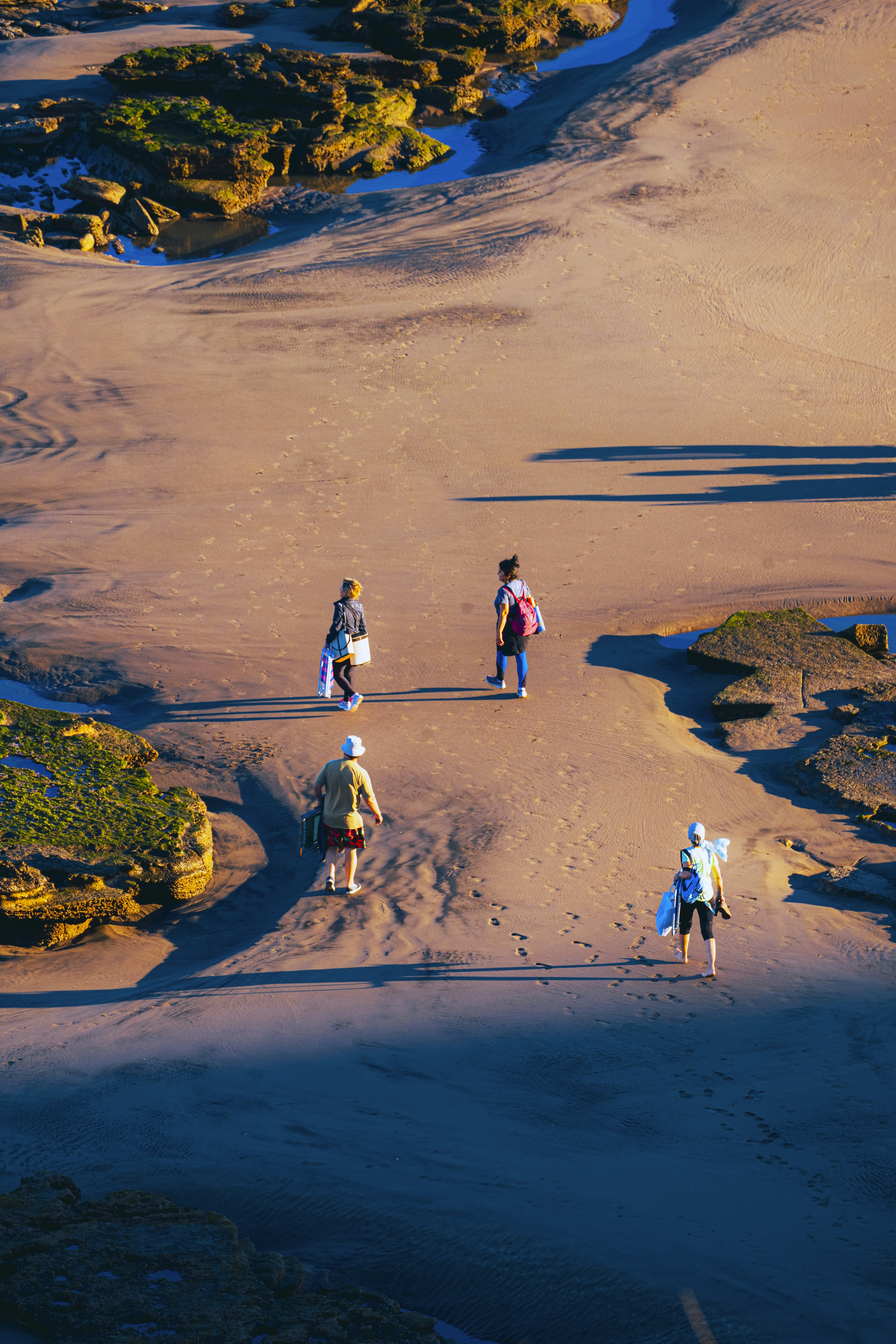 Tide's Embrace: A Coastal Stroll