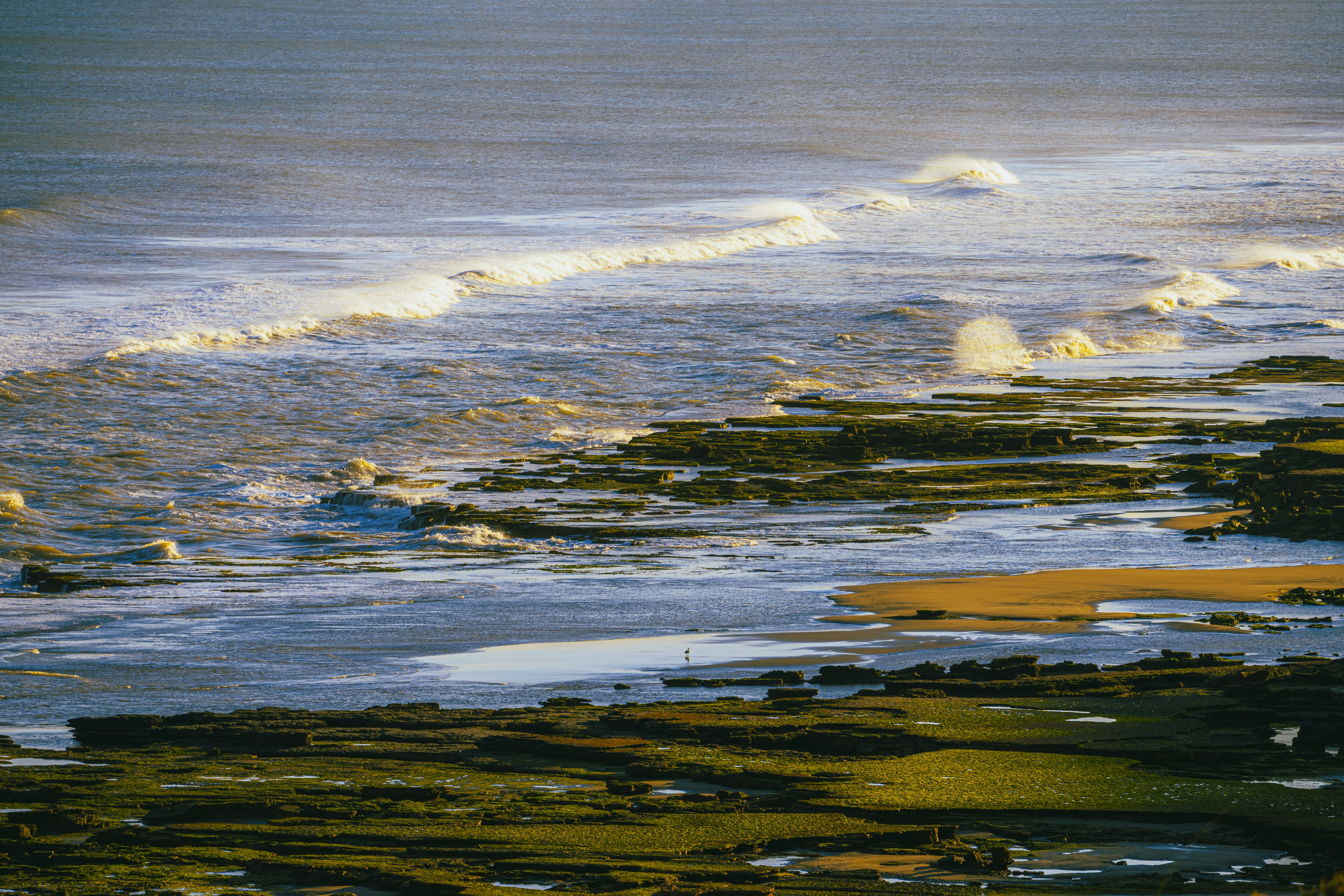 Cityscape with lights at dusk