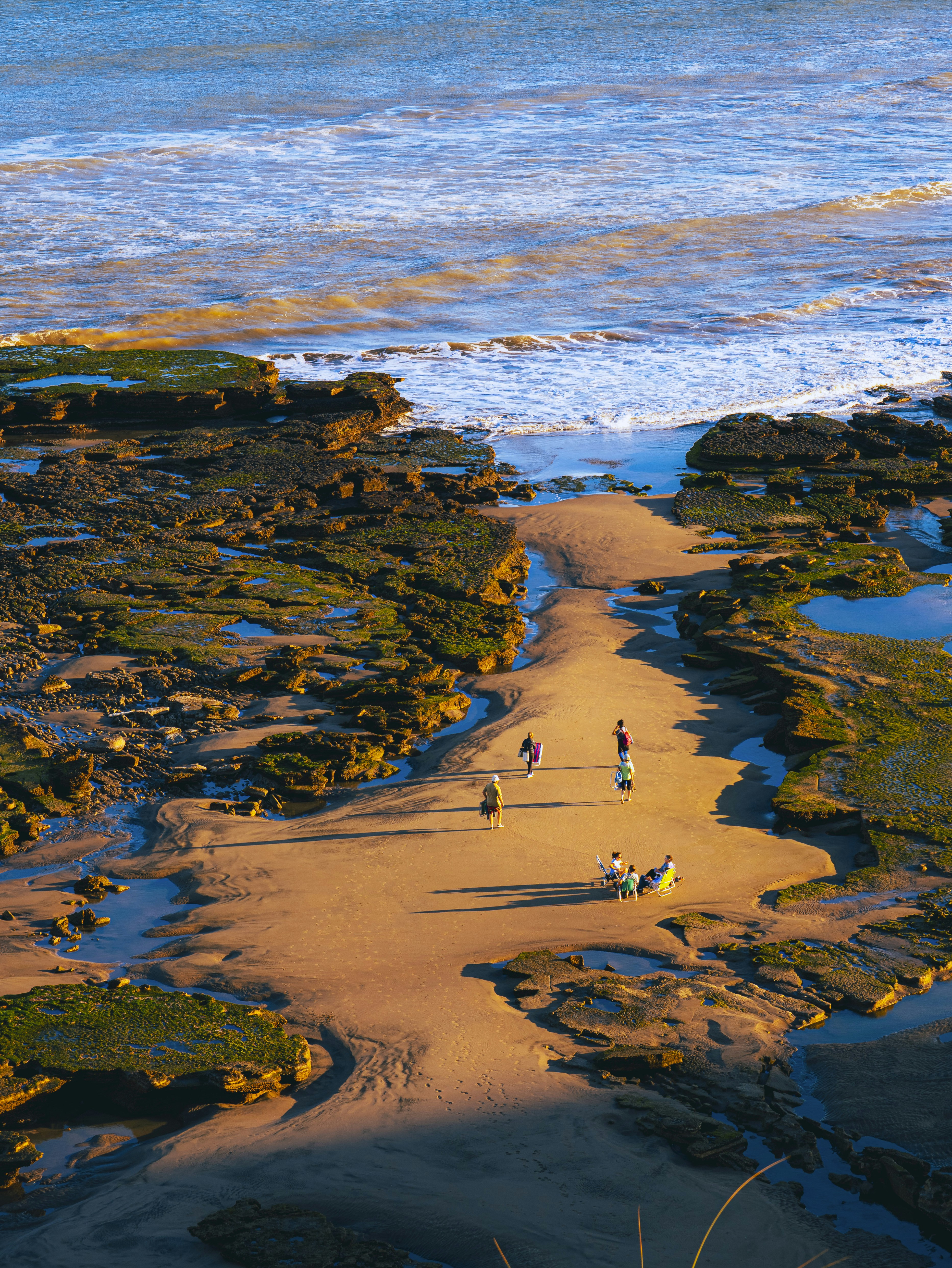 Tidal Pathways: Nature's Playground