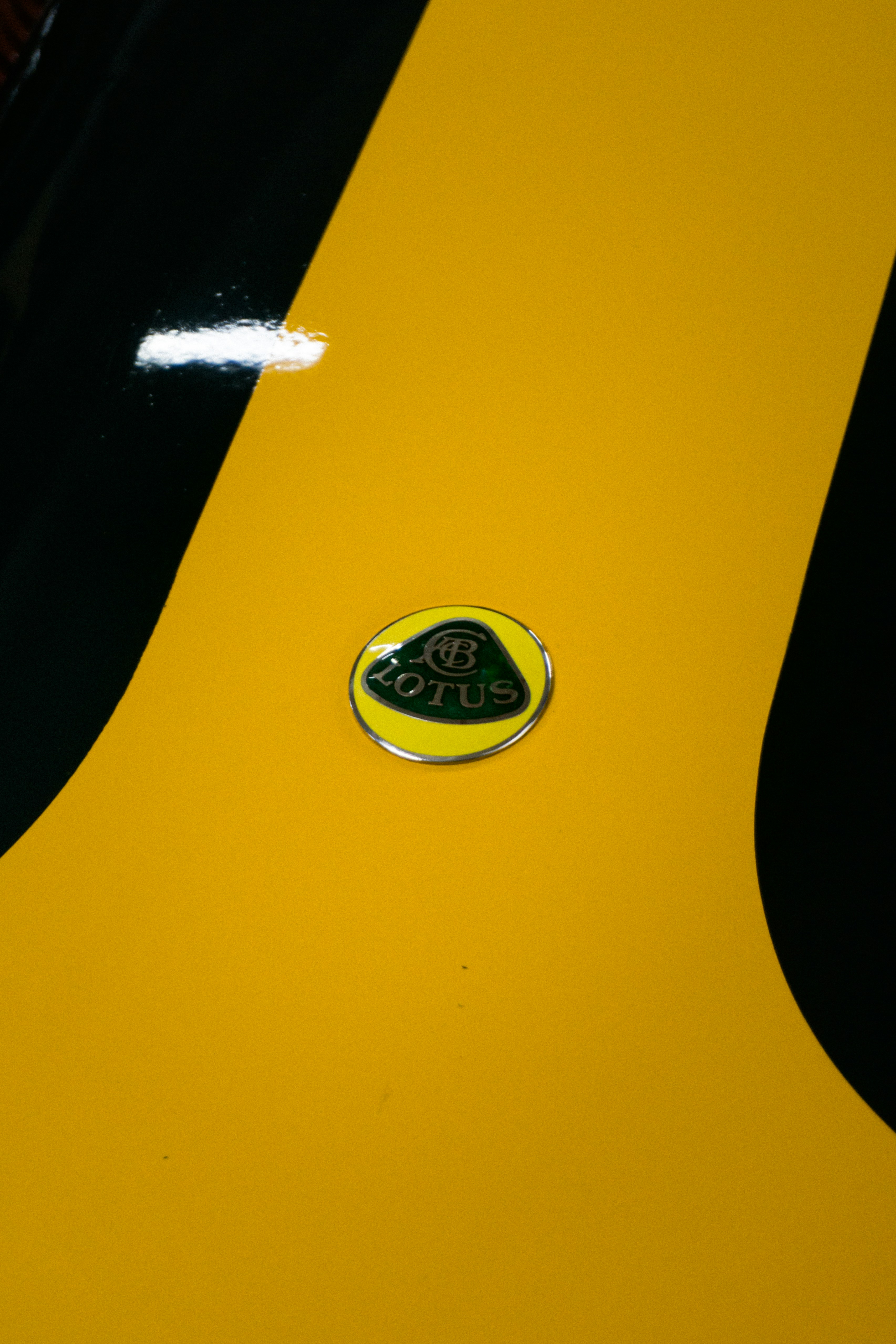 Emblem of Precision: The Lotus Badge