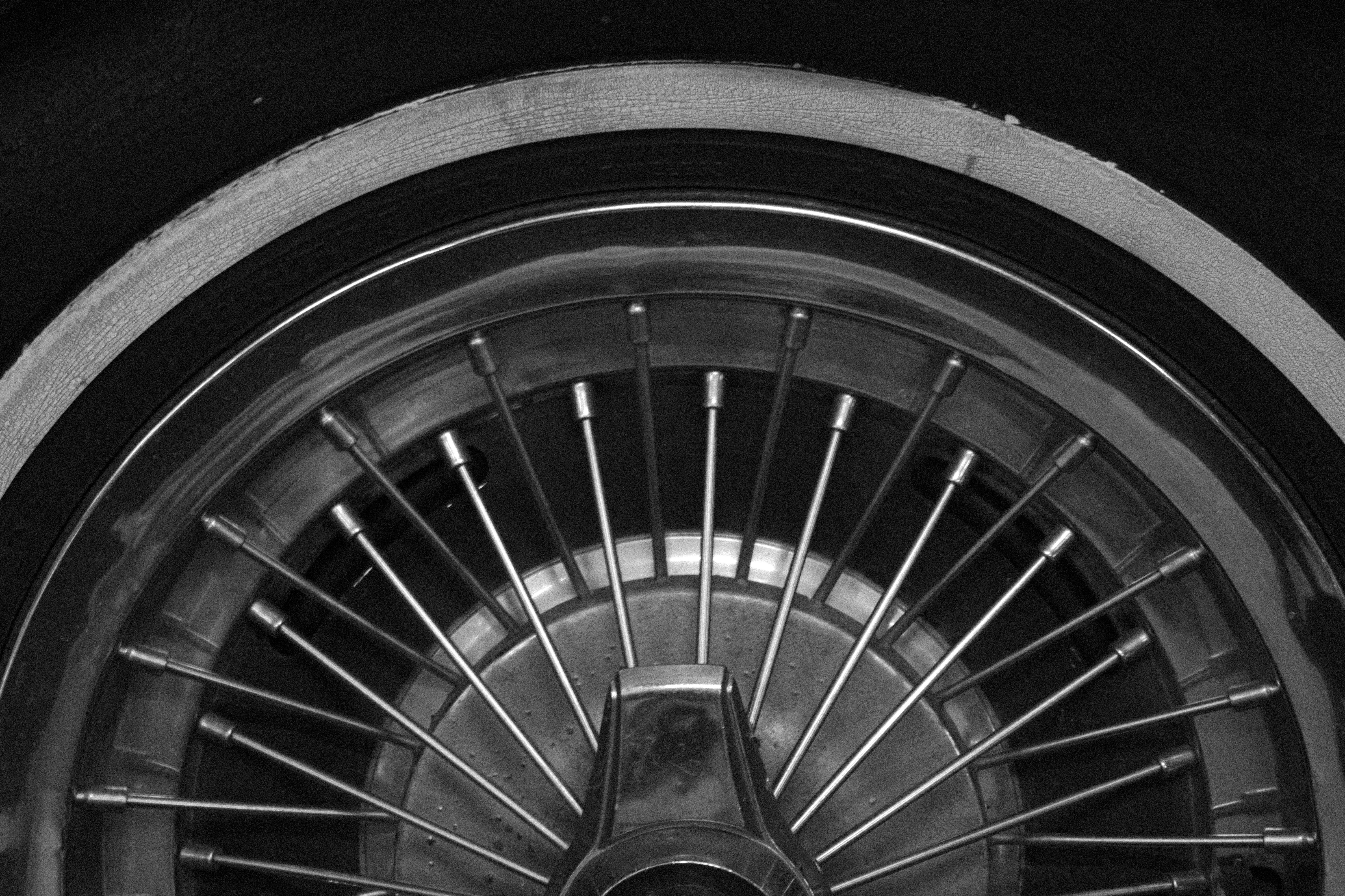 Photo by Sergio Aguirre with Sony Alpha 6000