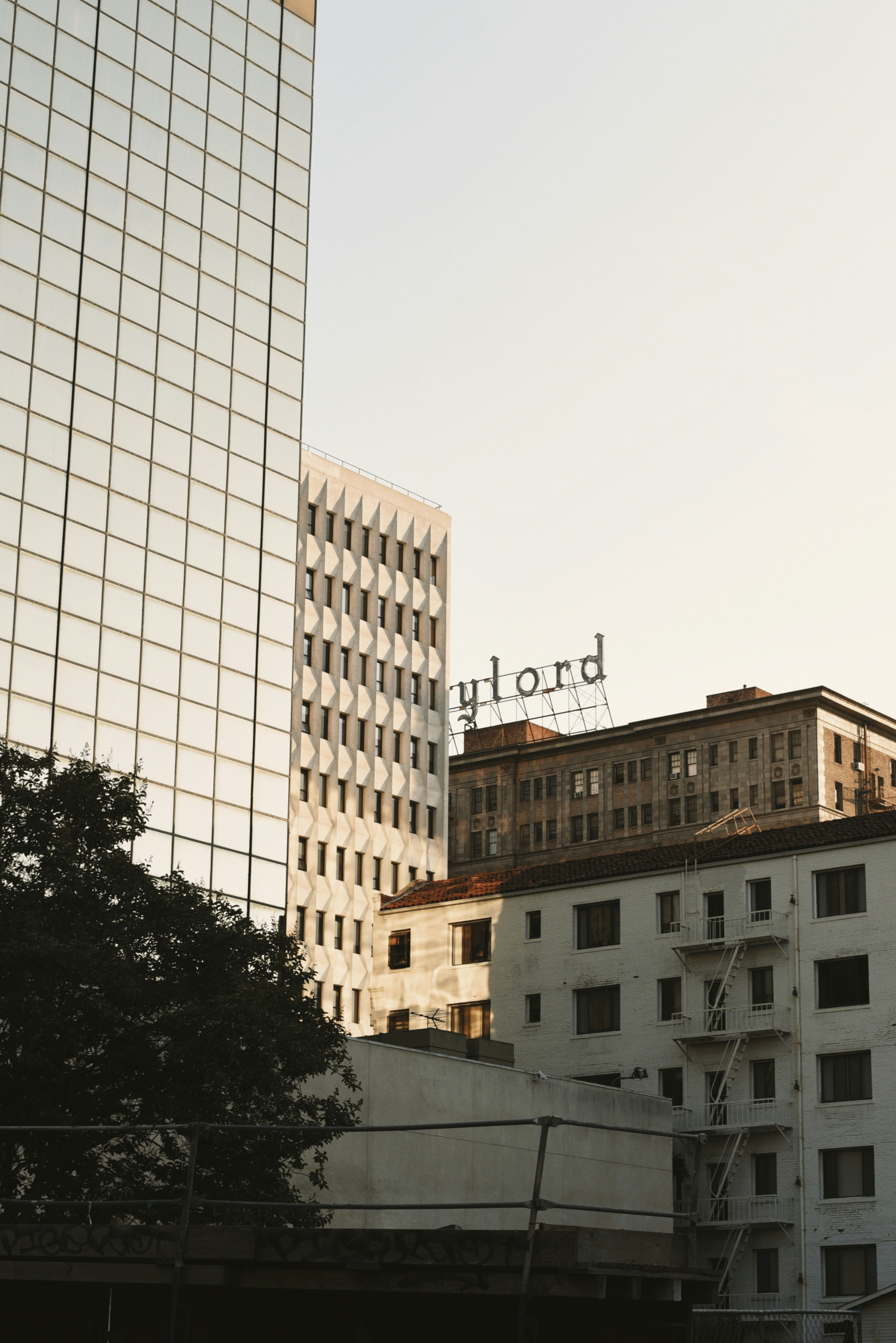 Urban Reflections: A Tale of Two Buildings