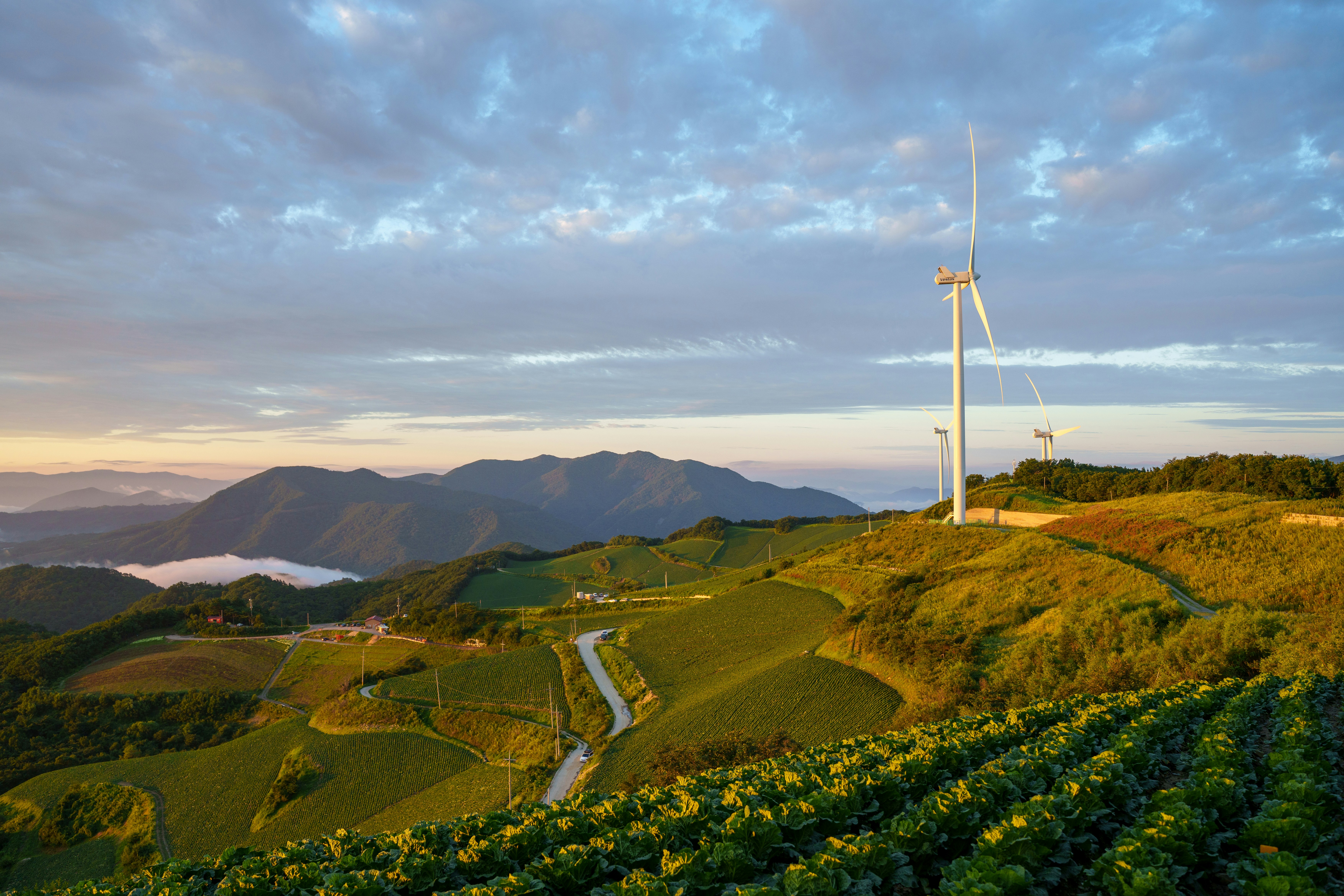 Wind Turbines Over Terraced Hills at Golden Hour