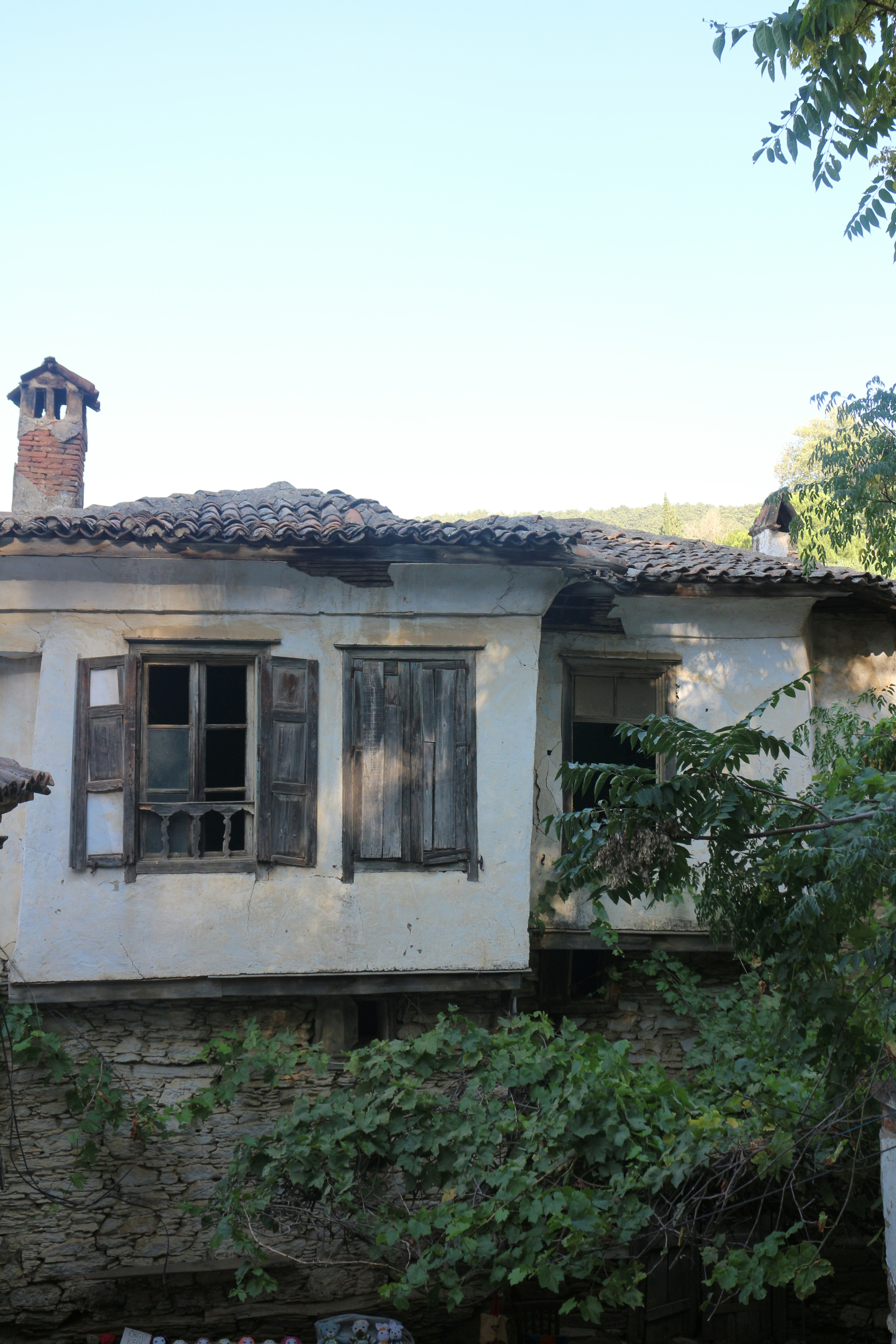 Whispers of Time: The Abandoned Homestead