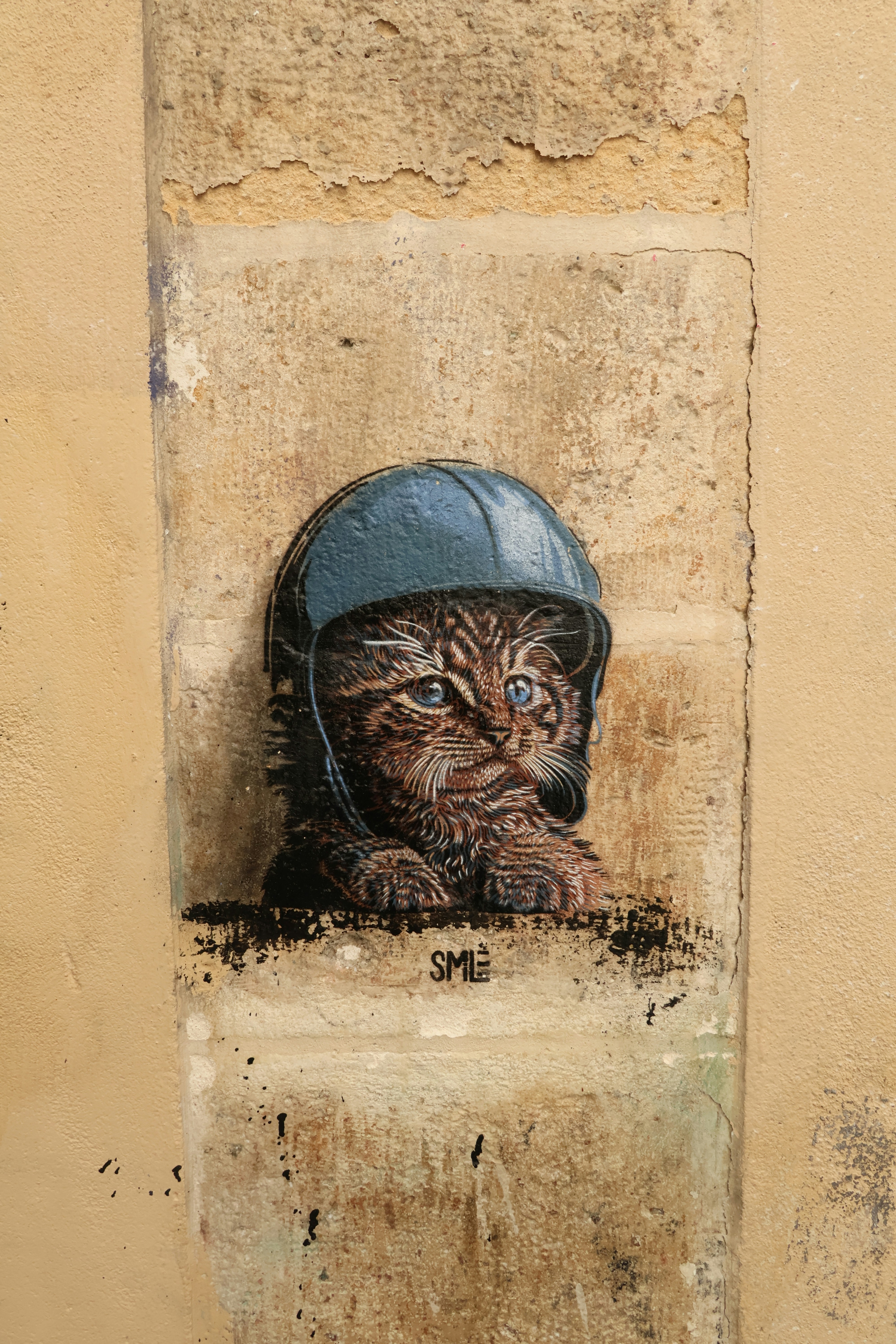 Whiskers in Armor: A Playful Street Art Reflection