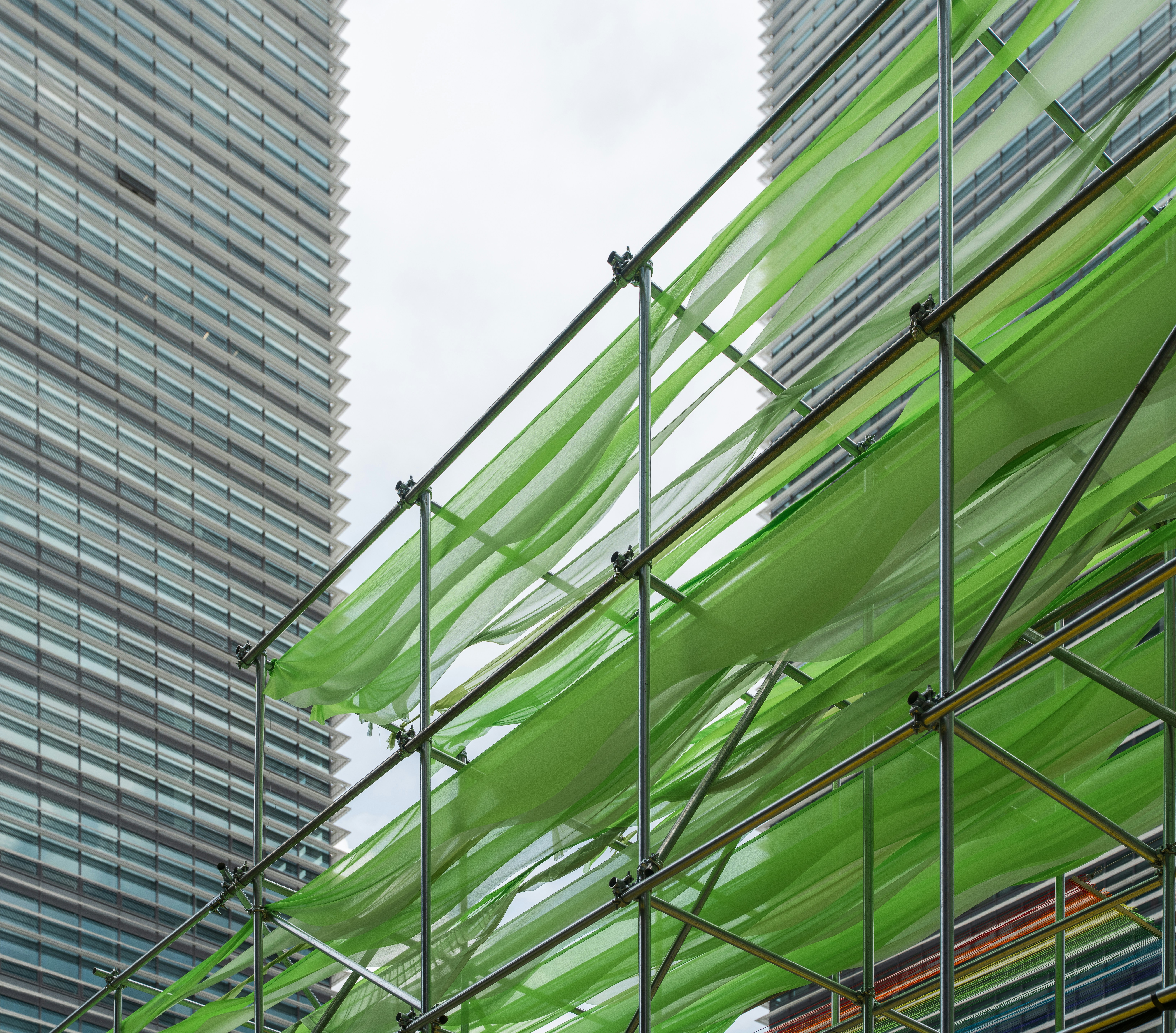 Urban Canopy: A Dance of Glass and Greenery