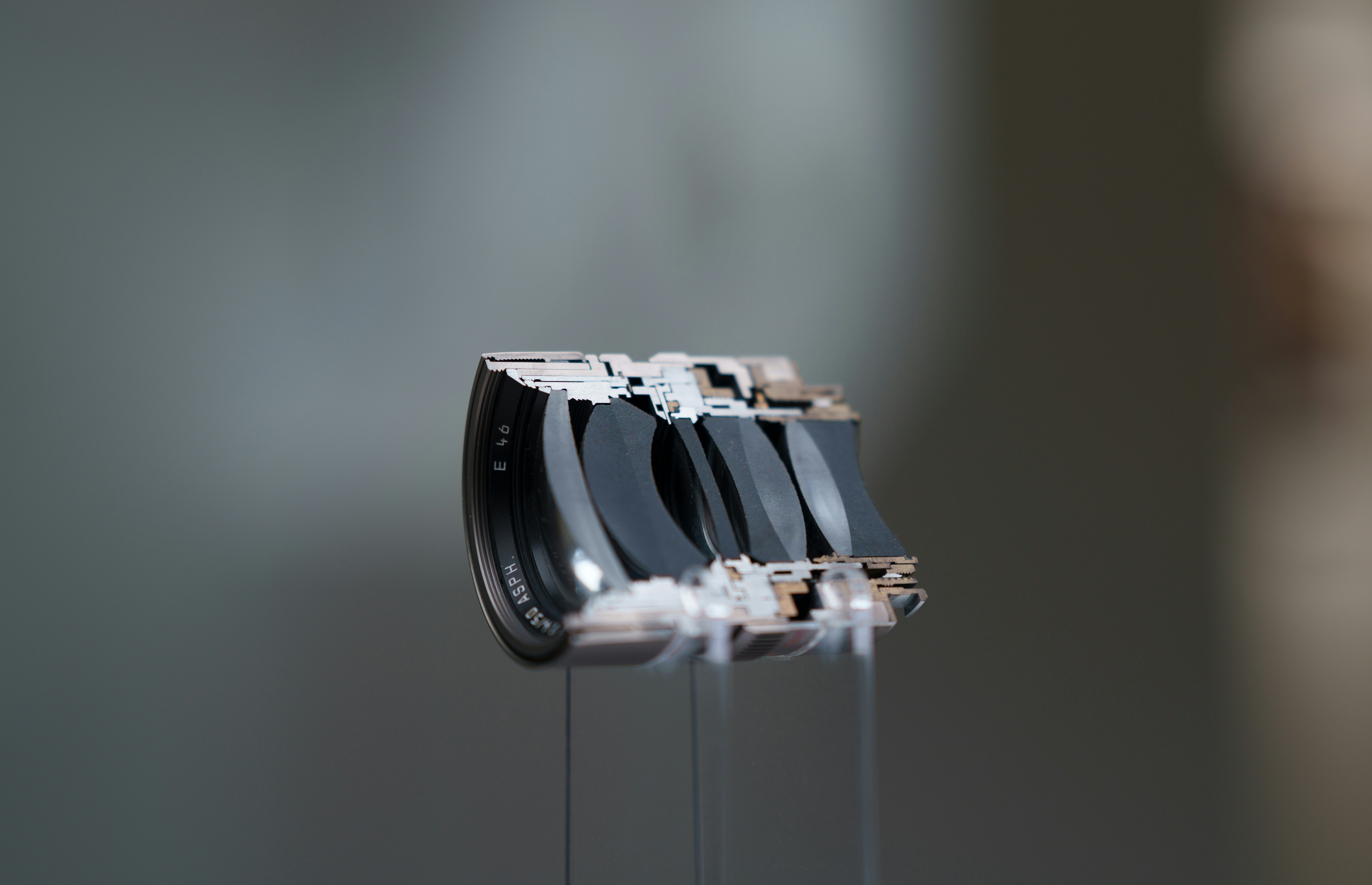Inside the Lens: A Cross-Sectional Exploration