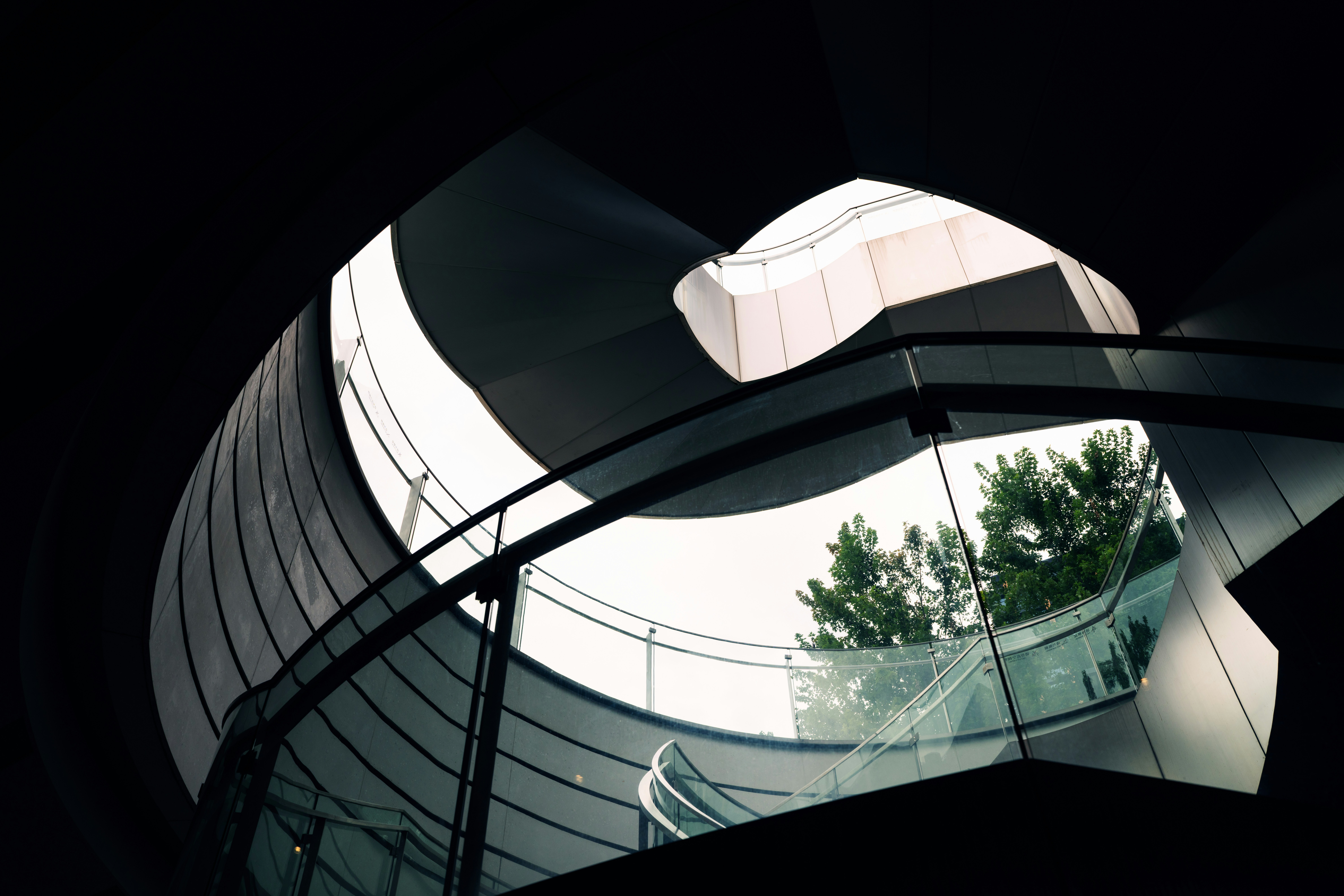 Intricate spiral staircase framed by sleek glass and modern architecture, revealing glimpses of greenery above.
