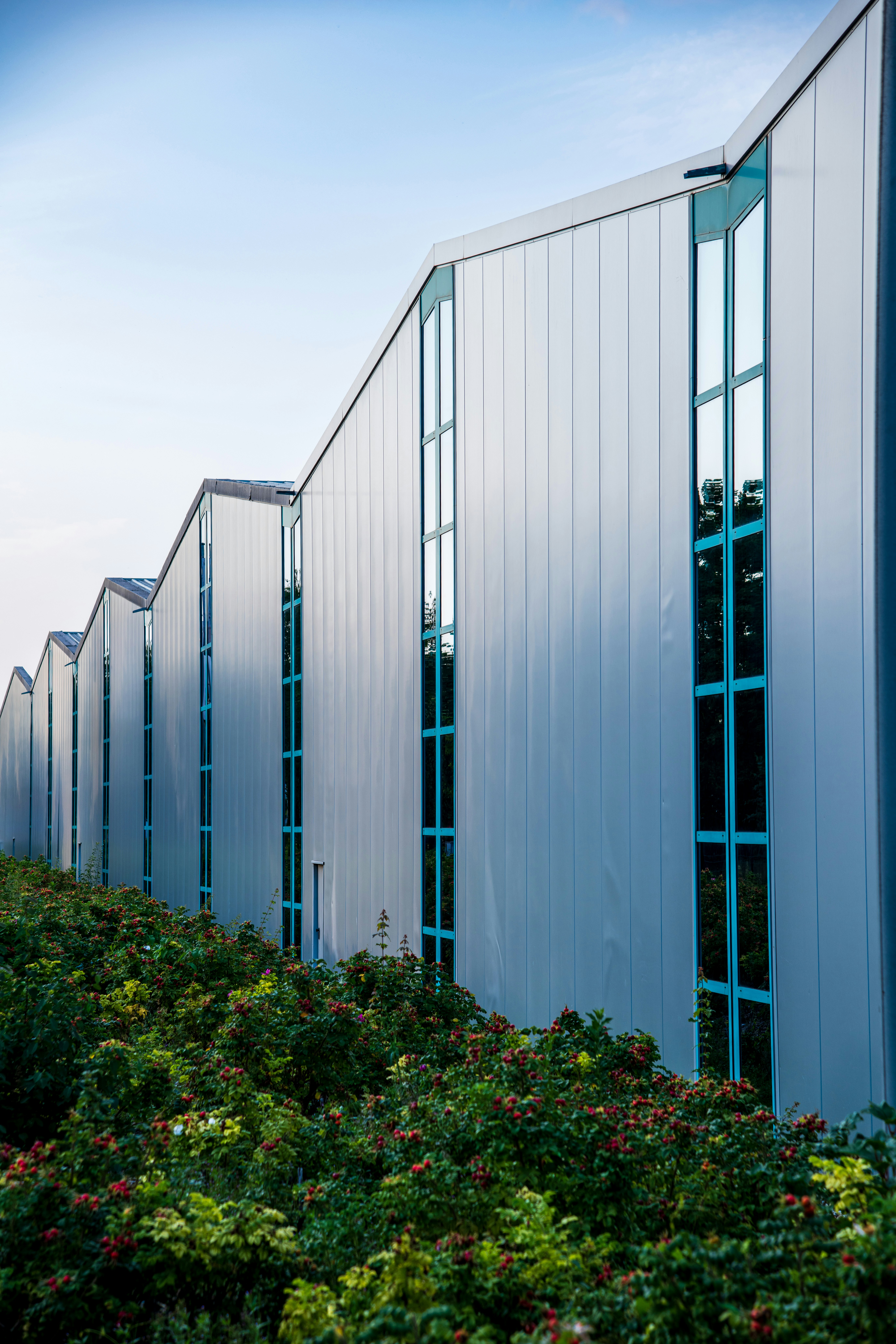 Rectilinear Rhythm: A Row of Industrial Panels Reaching Skyward