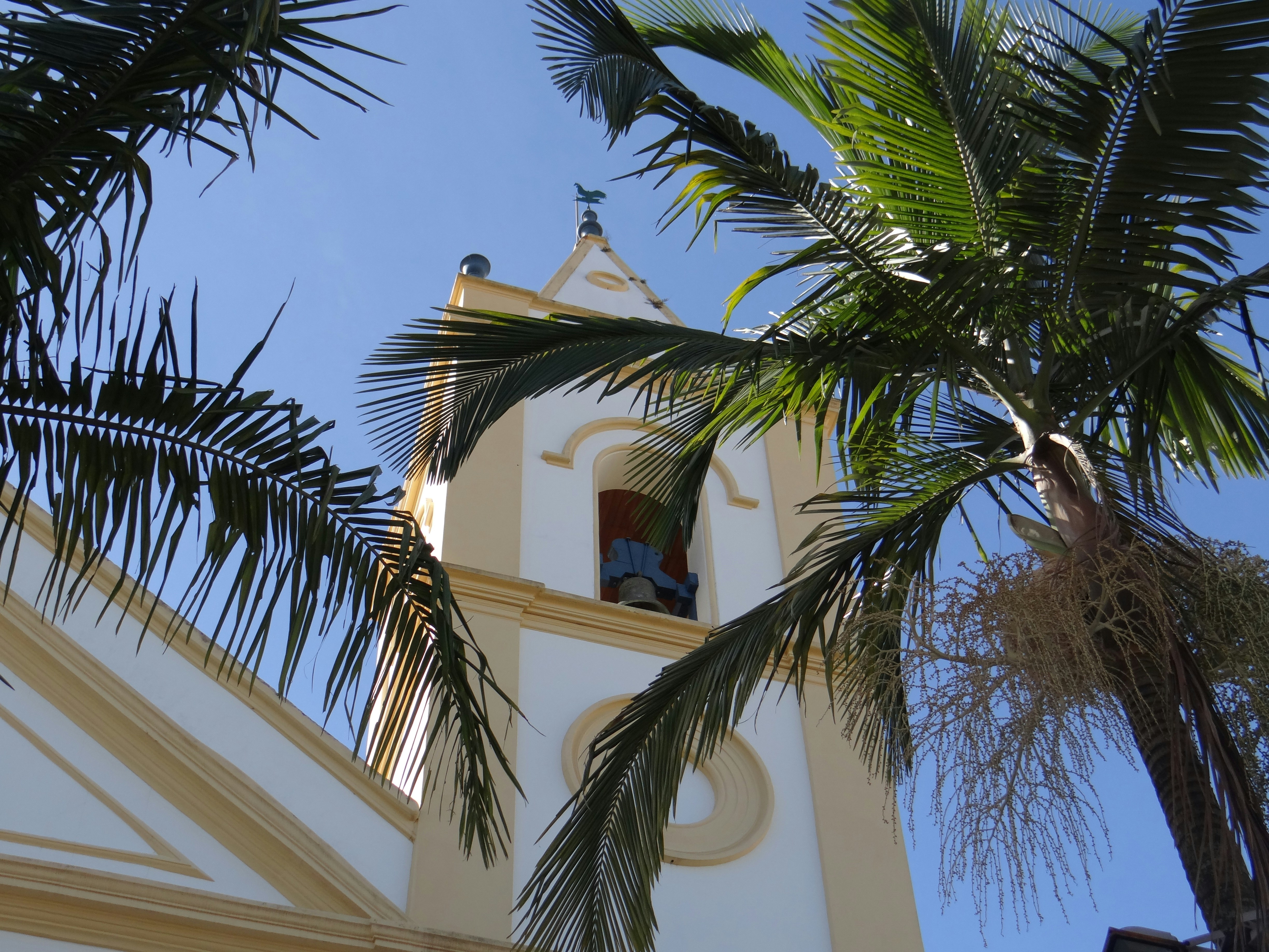 Bell tower of a church with palm trees