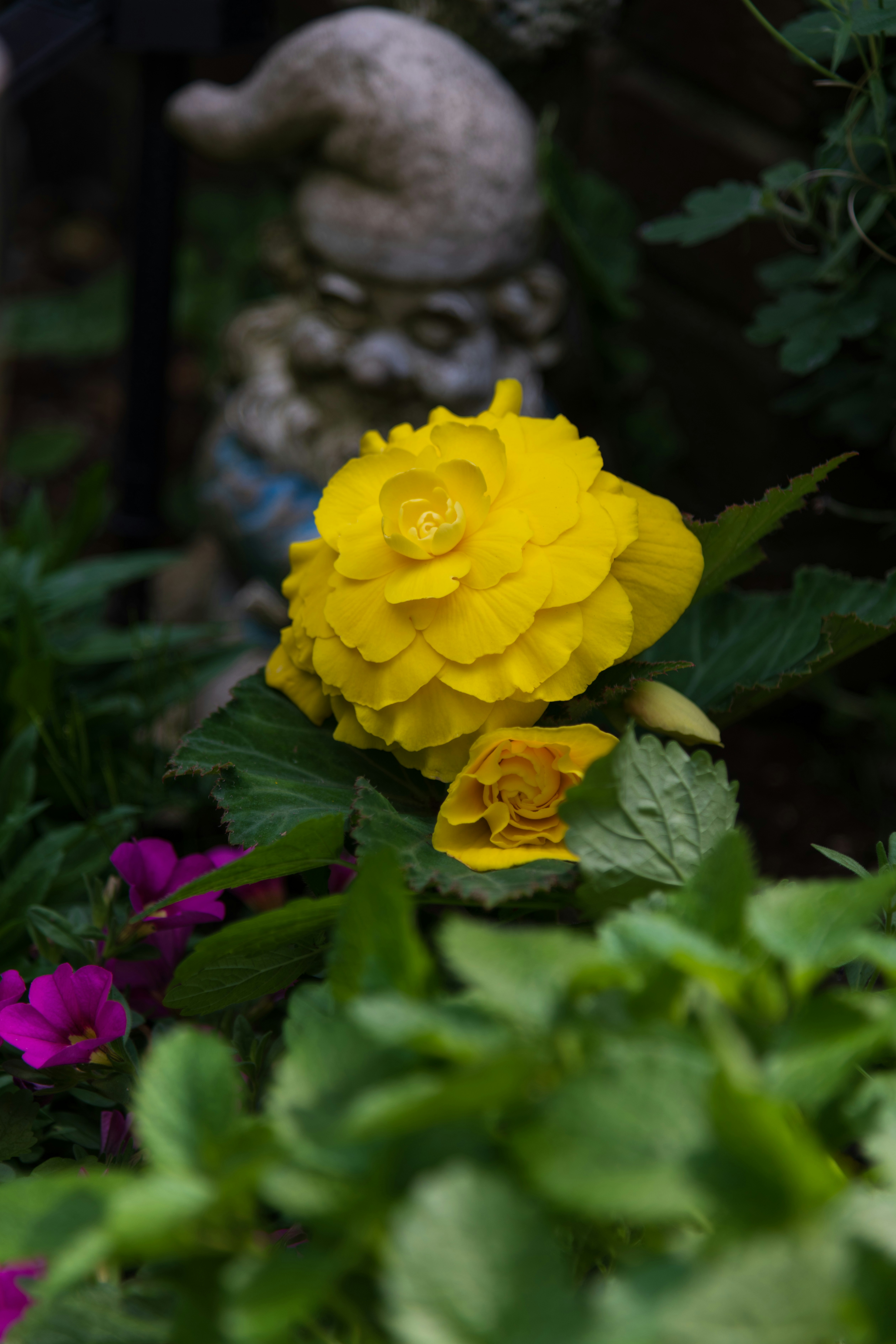 Whispers of Spring: A Floral Encounter
