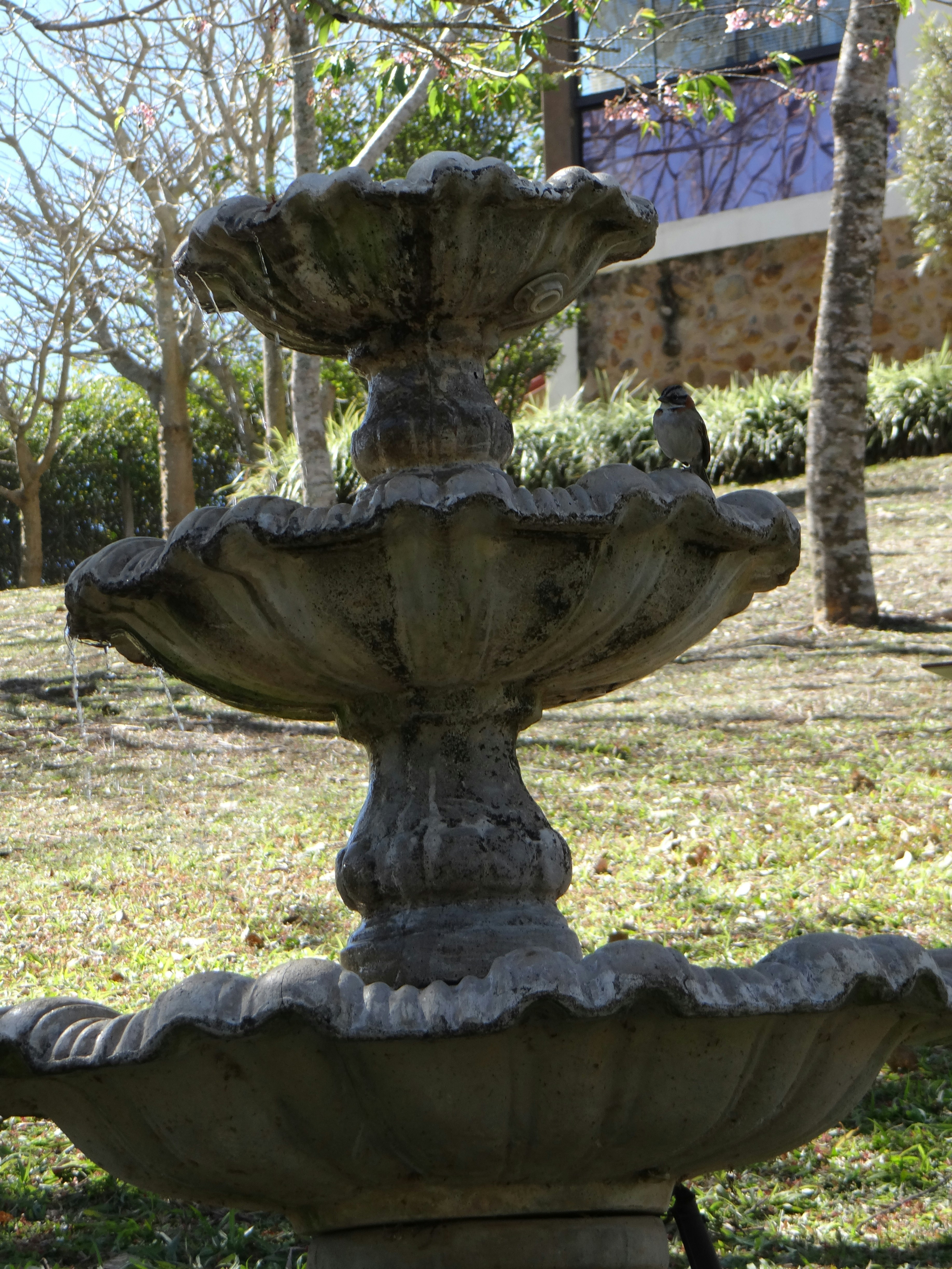 Stone tiered fountain in a grassy garden